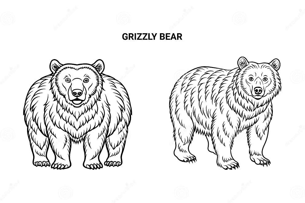 Versatile Vector Grizzly Bear: Perfect Outline for Any Project Stock ...
