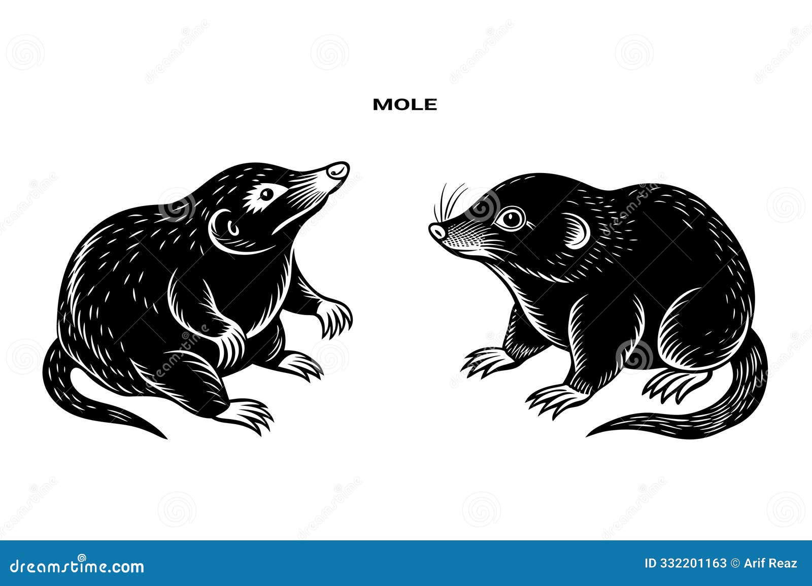 Versatile Vector Mole: Editable Silhouette Perfect for Any Project ...