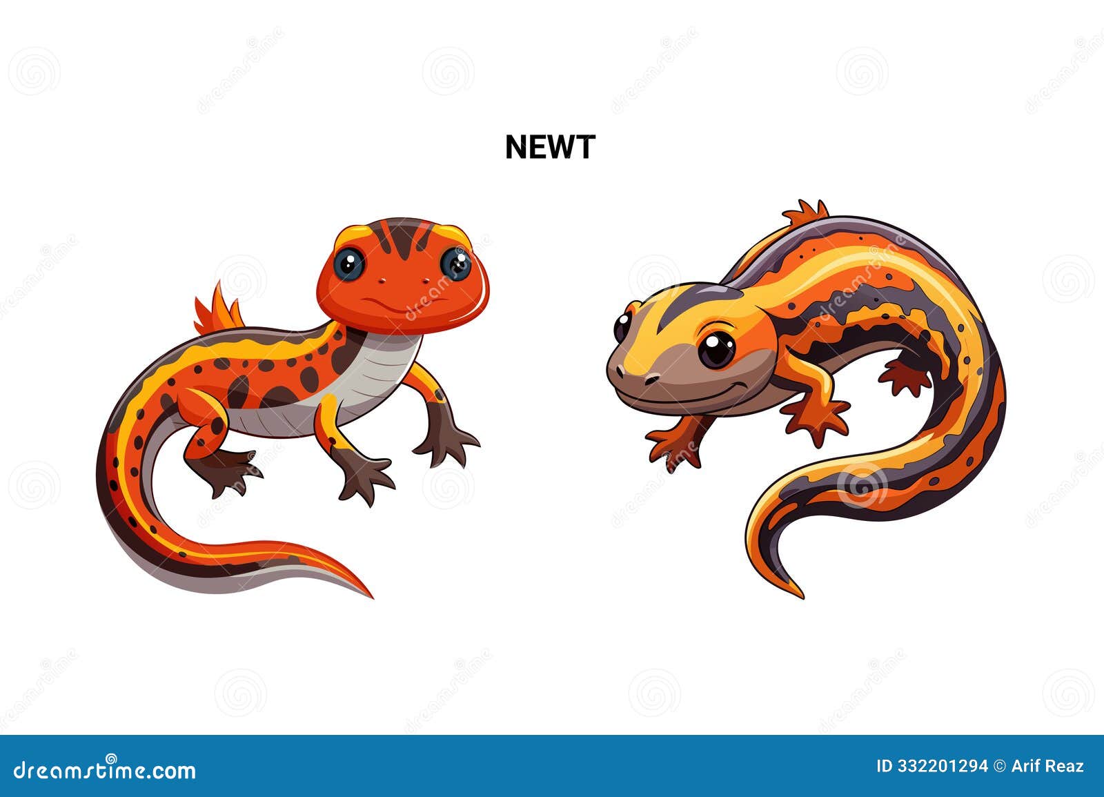 Versatile Vector Newt: Editable Color Perfect for Any Project Stock ...