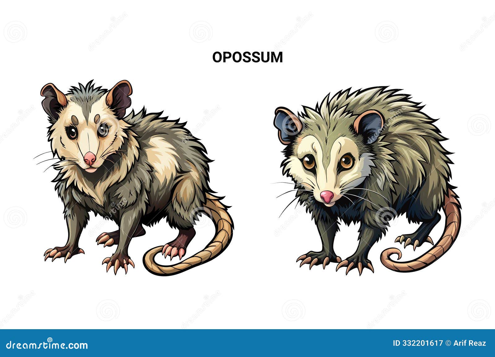 Versatile Vector Opossum: Editable Color Perfect for Any Project Stock ...