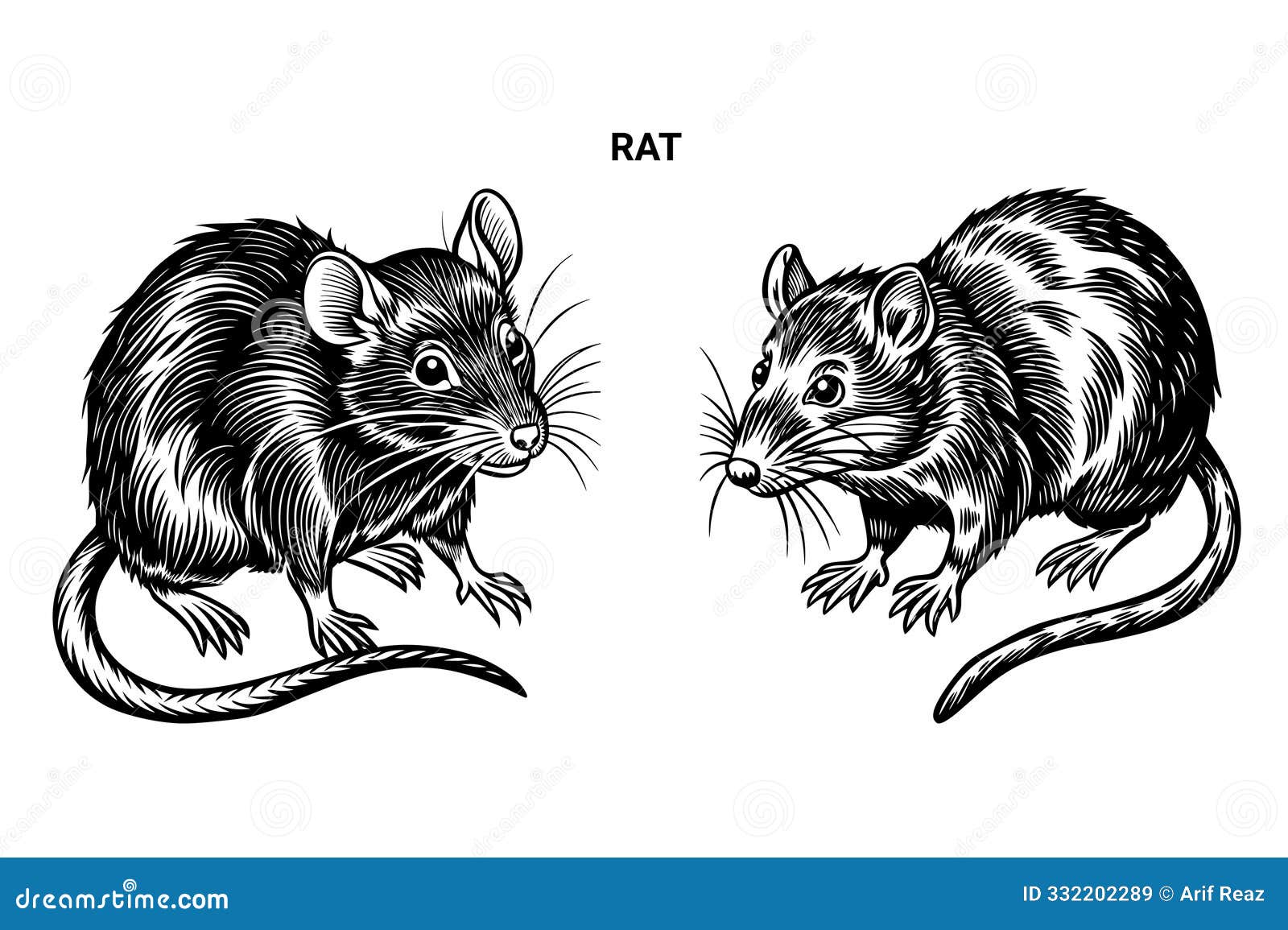 Versatile Vector Rat: Editable Silhouette Perfect for Any Project Stock ...