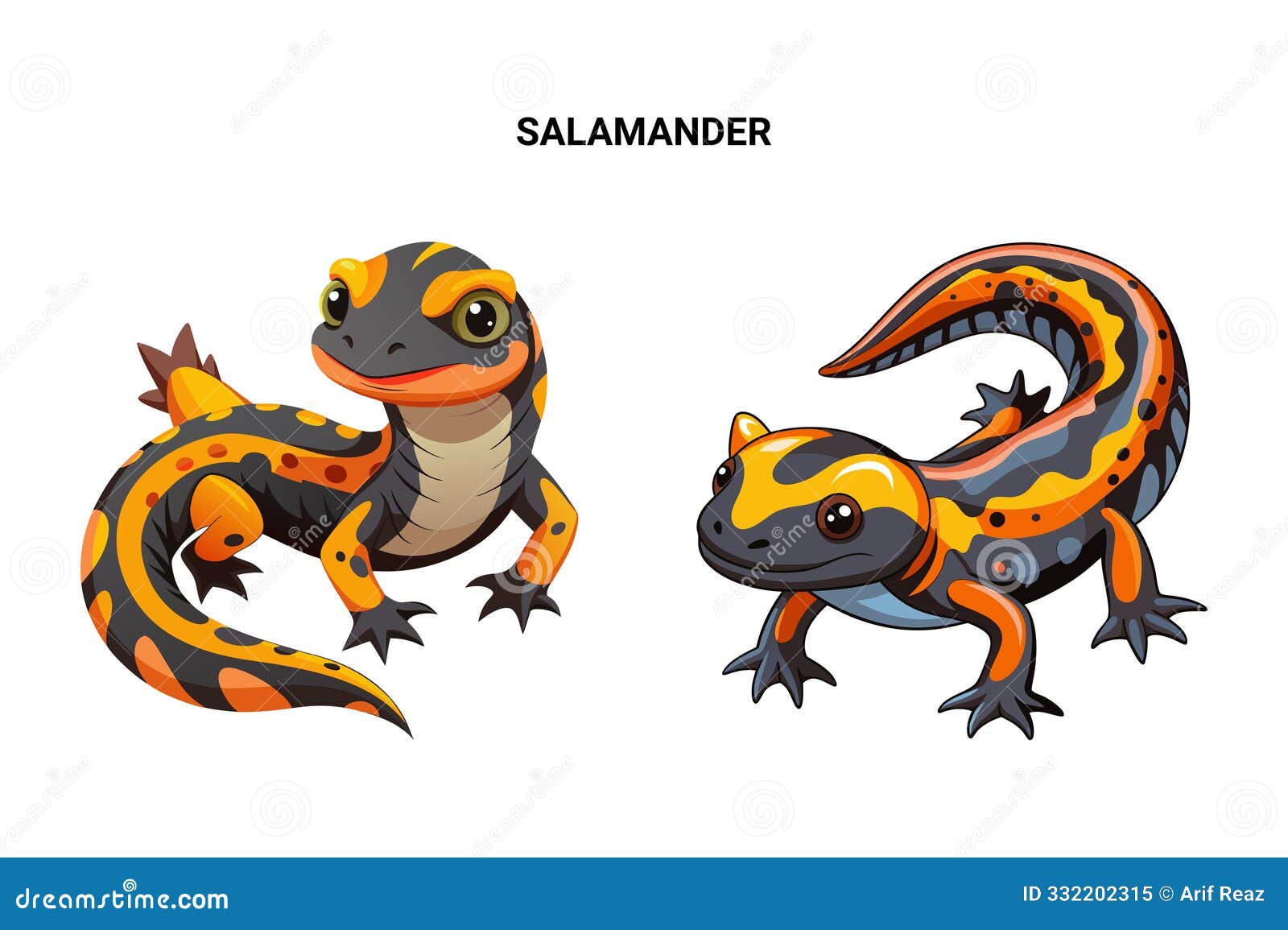 Versatile Vector Salamander: Editable Color Perfect for Any Project ...