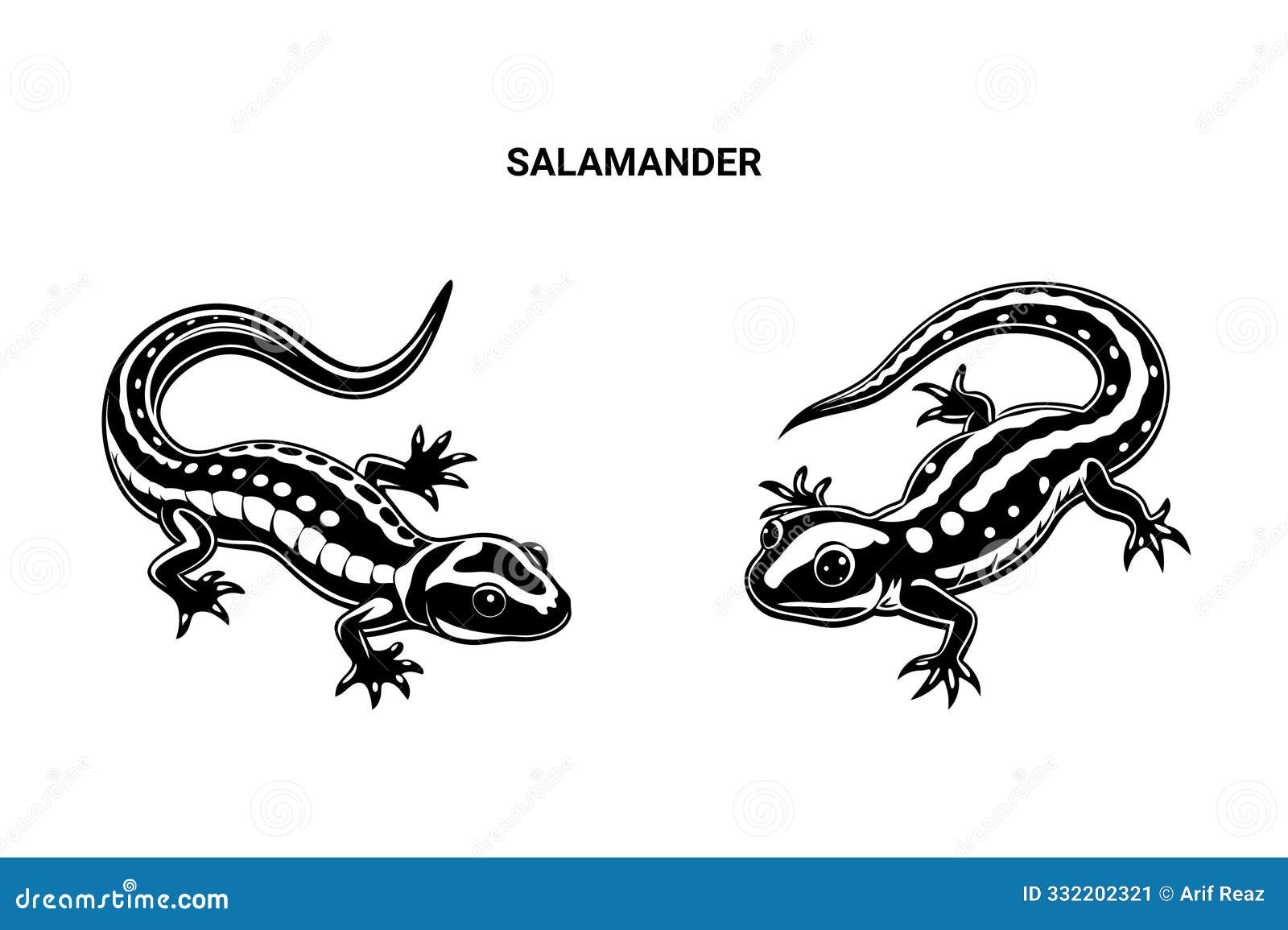 Versatile Vector Salamander: Editable Silhouette Perfect for Any ...