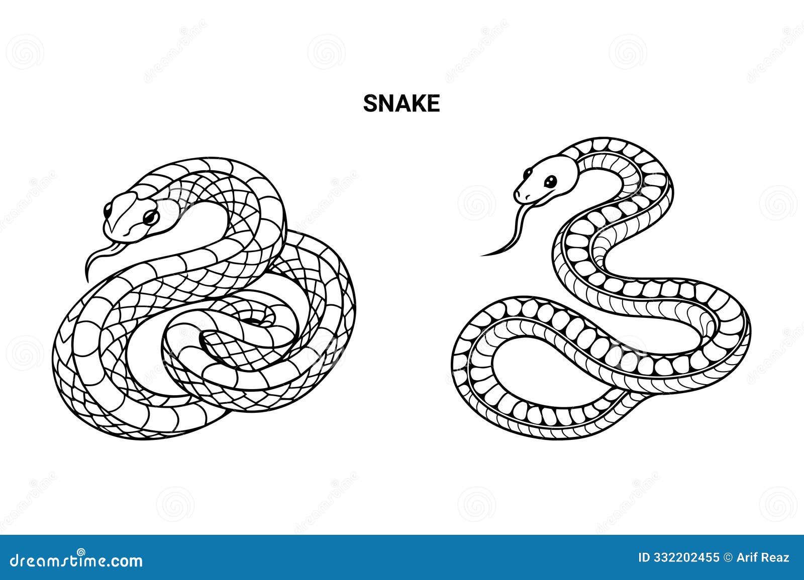 Versatile Vector Snake: Editable Outline Perfect for Any Project Stock ...