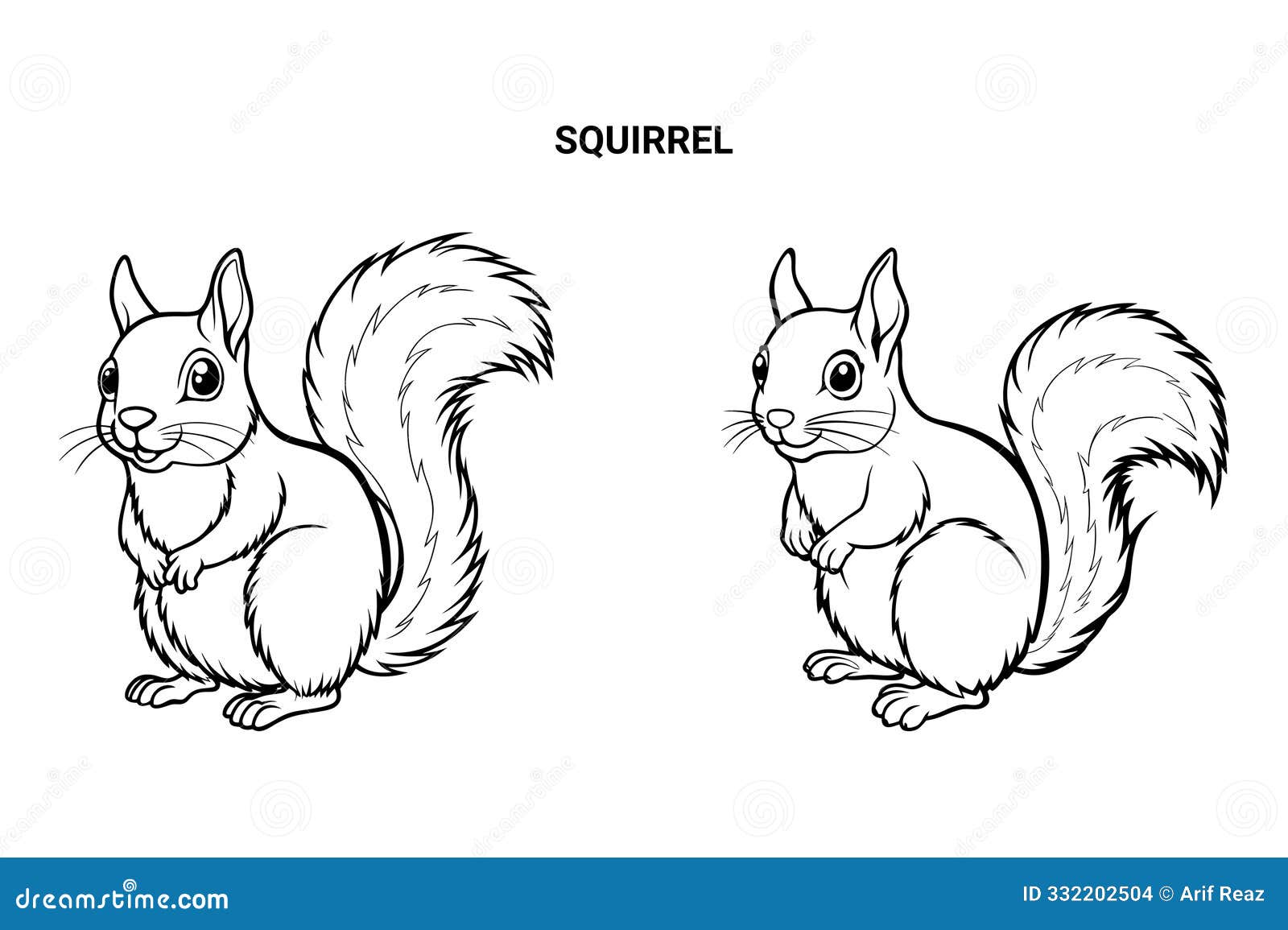 Vector Set Of Squirrel Heads. Front And Side View Postraits ...