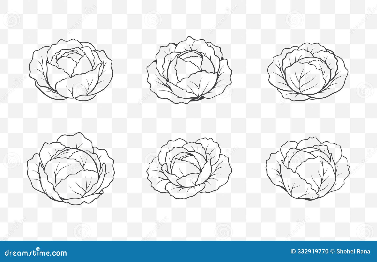 Print Cabbage Line Art Vector Set Collection of Detailed and Elegant ...