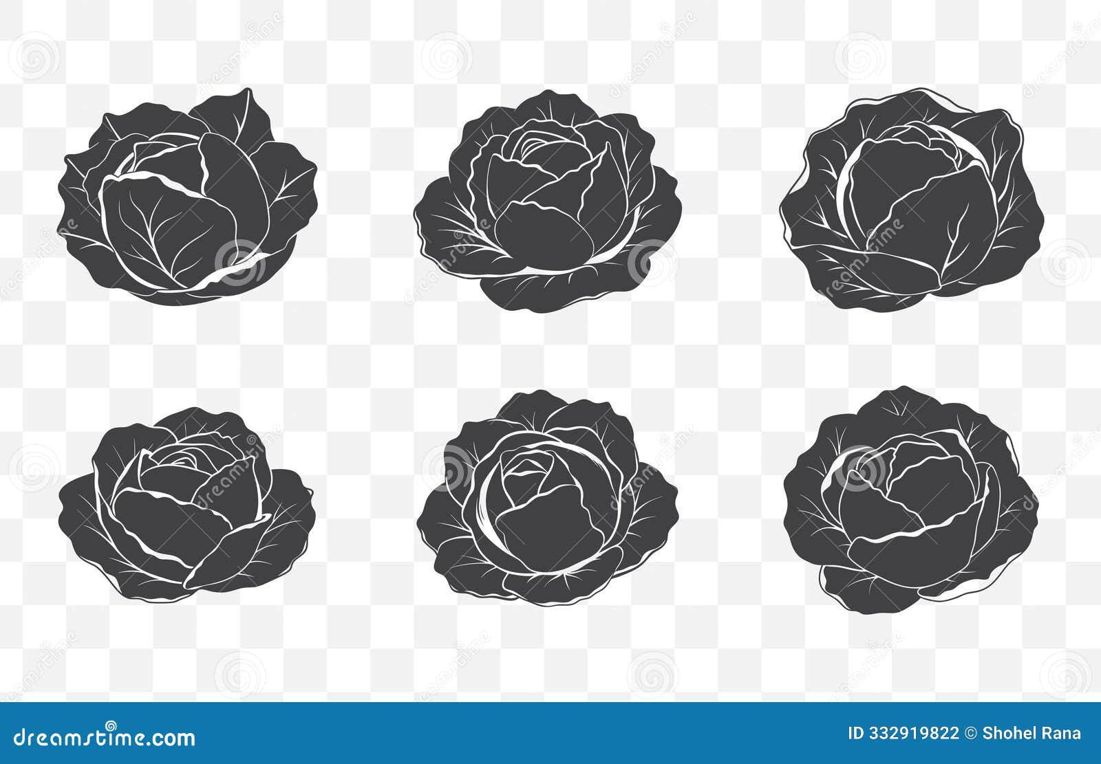 Print Cabbage Line Art Vector Set Collection of Detailed and Elegant ...