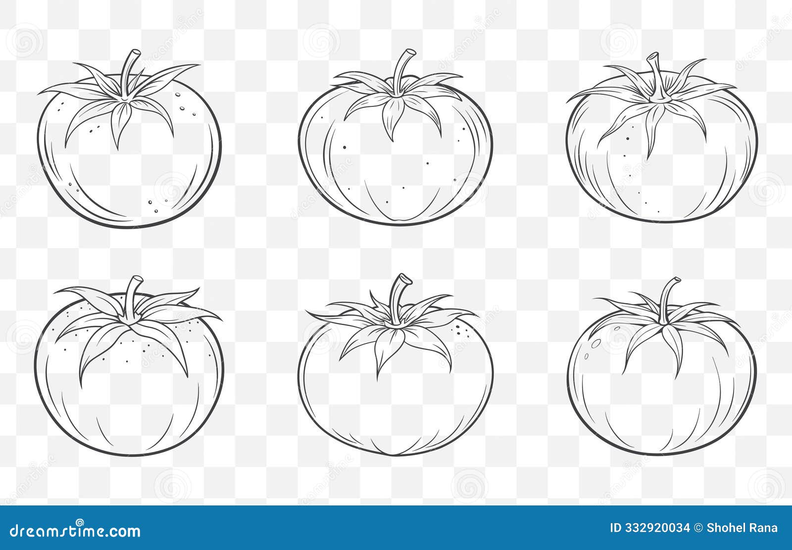 Print Tomato Plant and Fruit Line Art Vector Set for Botanical ...