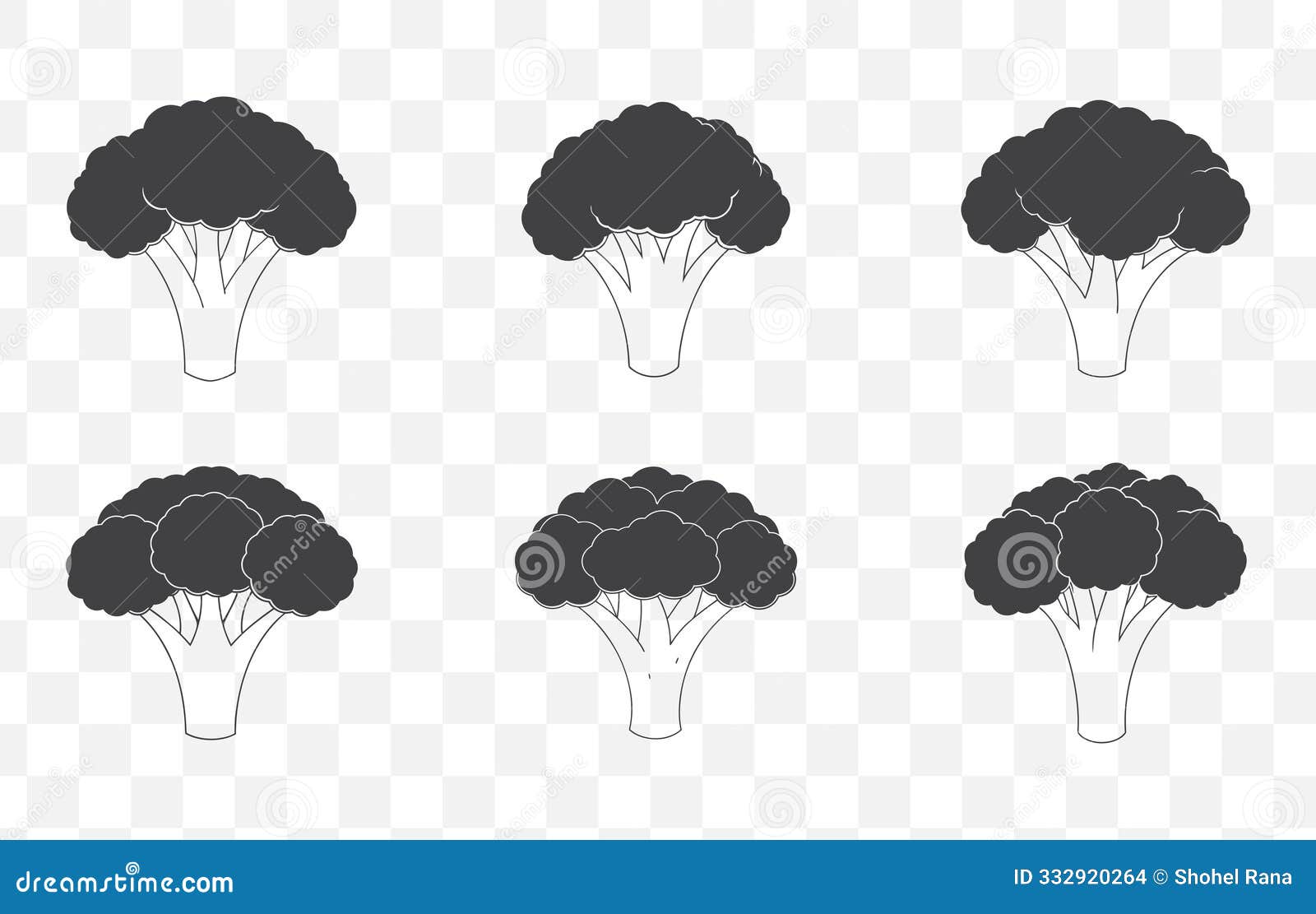 Print Broccoli Line Art Vector Set Detailed Illustrations of Broccoli ...