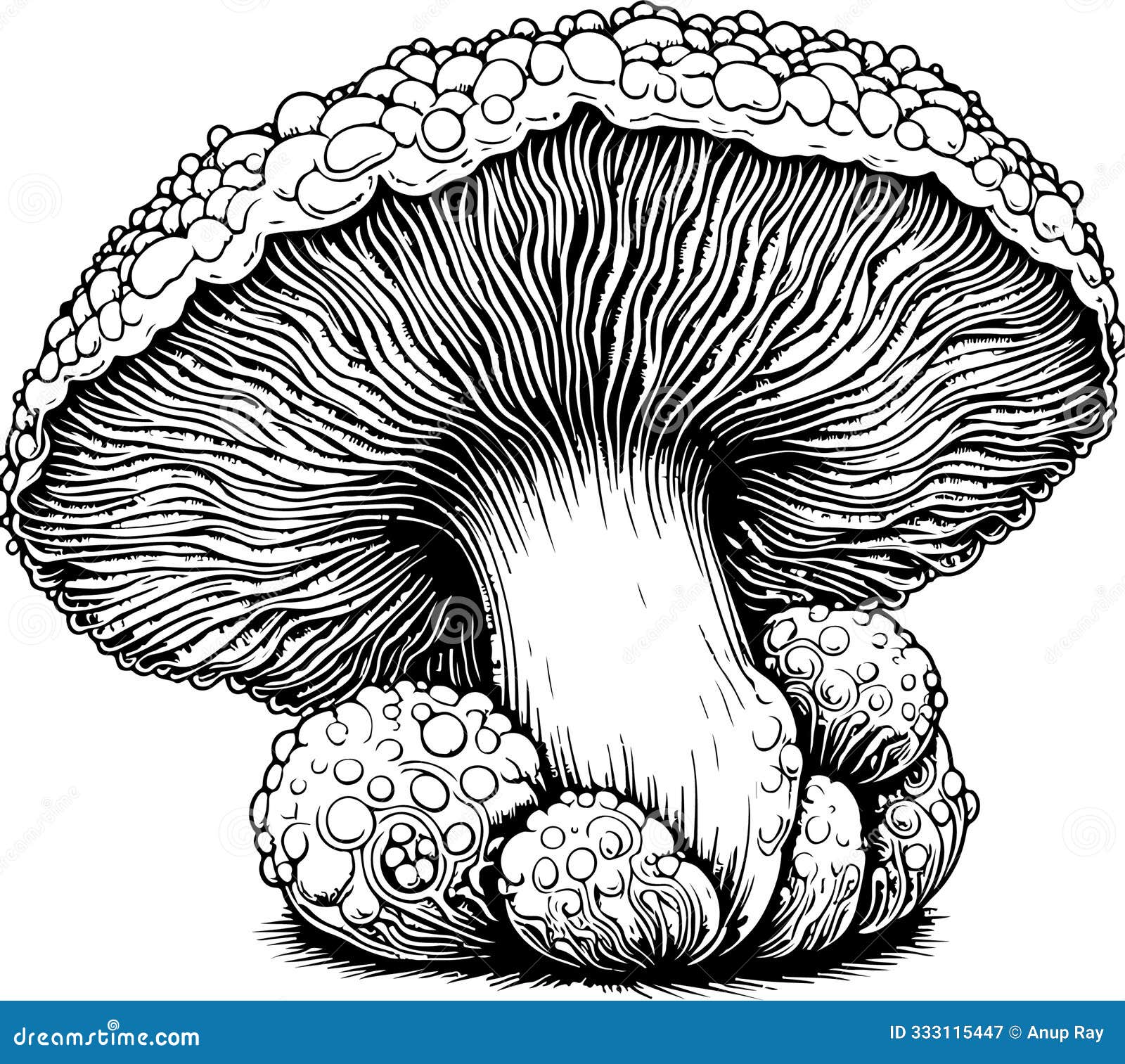 A Mushroom Line Art with White Background Stock Illustration ...