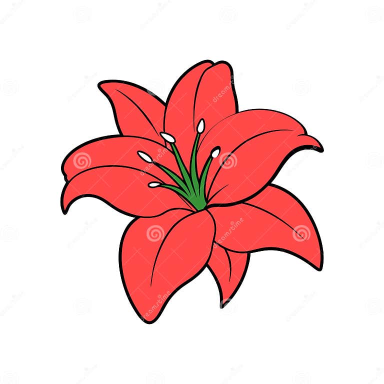 Stunning Lilly Flower Vector - Elegant Floral Art Stock Illustration ...