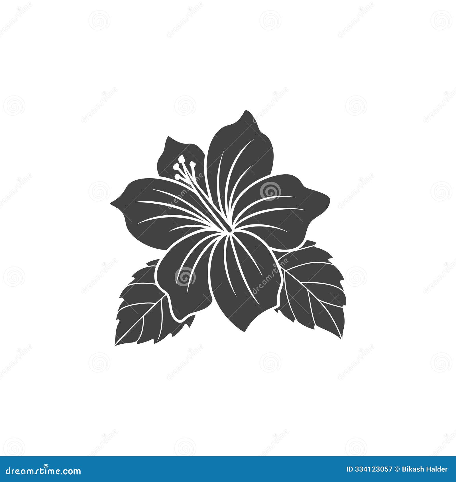 Tropical Hibiscus Flower Vector Graphic Stock Vector - Illustration of ...