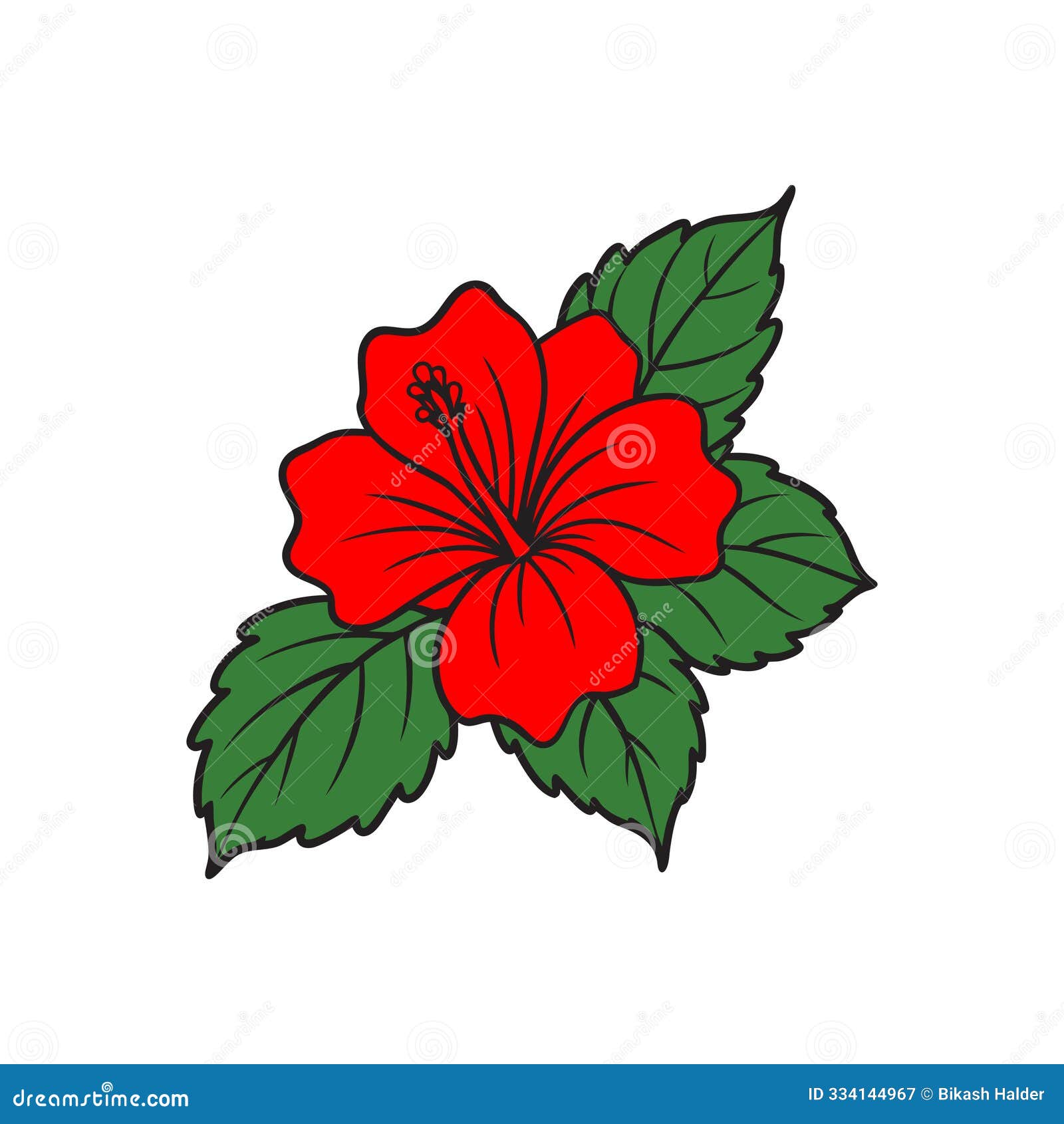 Stylish Hibiscus Flower Vector Design Stock Vector - Illustration of ...