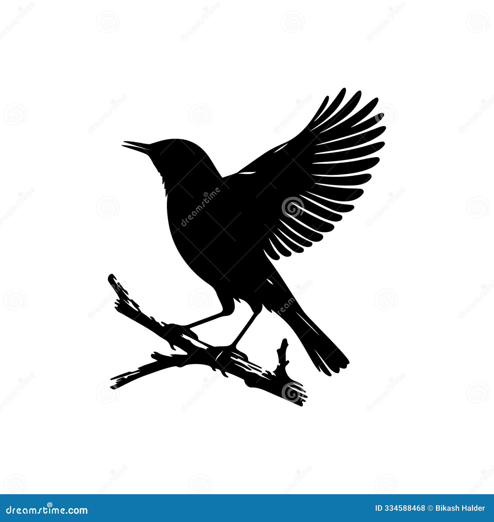 Detailed Wildlife Birds Vector Illustration Stock Vector - Illustration ...