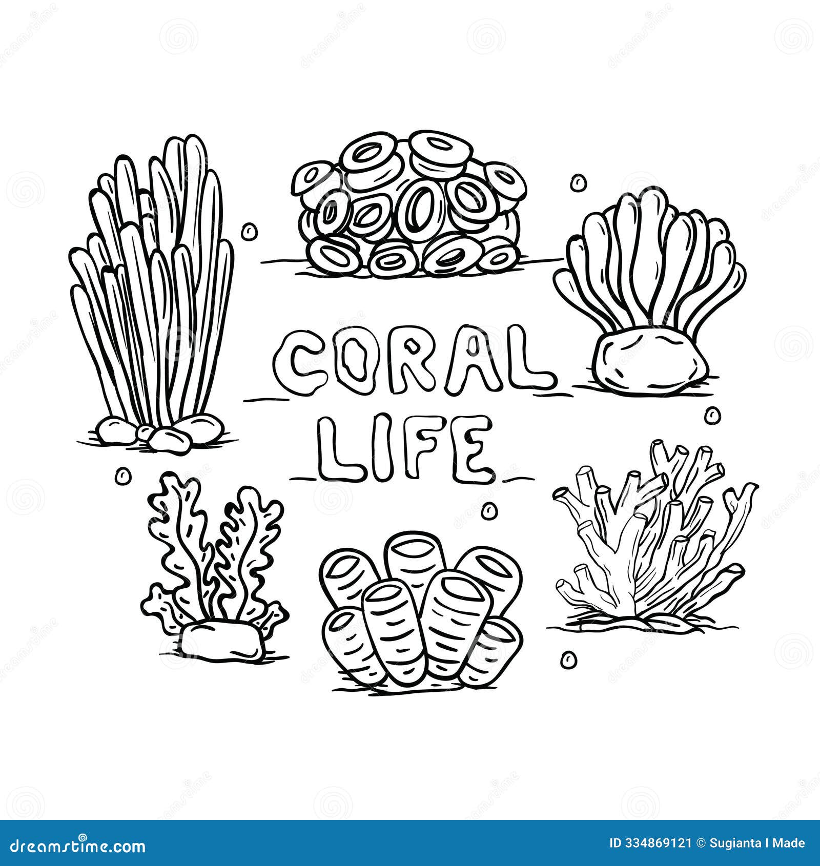 Coral Set Hand Drawing Vector Stock Illustration - Illustration of ...