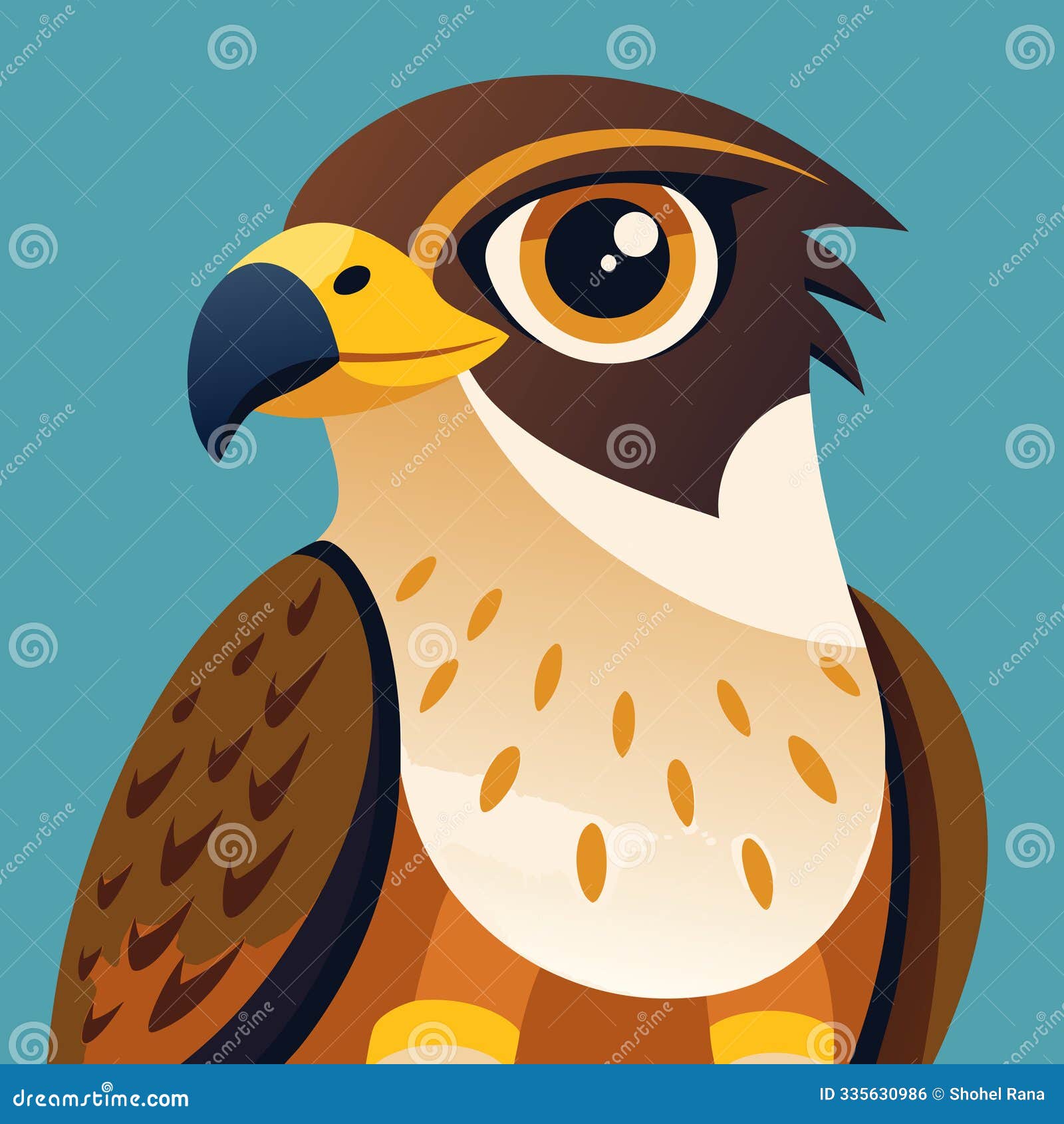 Print Adorable Hawk Clipart Vector Illustration Featuring a Cute and ...