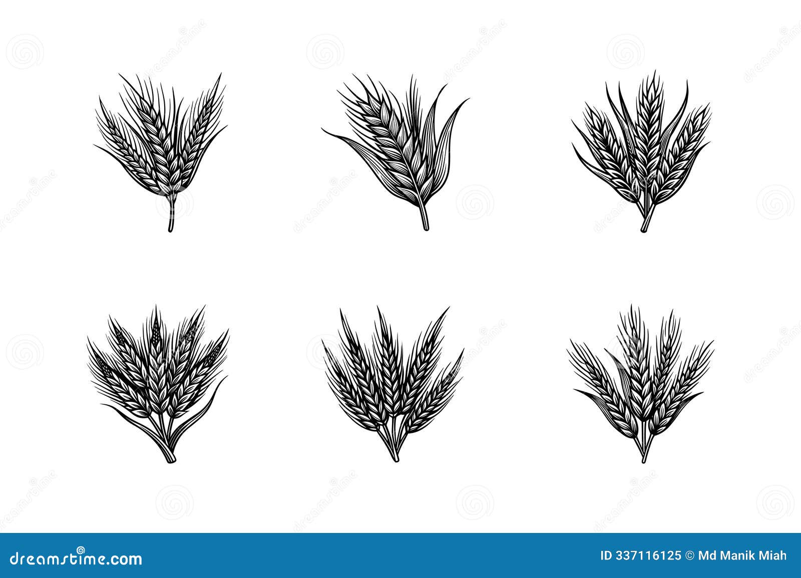Print Wheat Line Art Vector Black and White Hand-Drawn Illustration ...