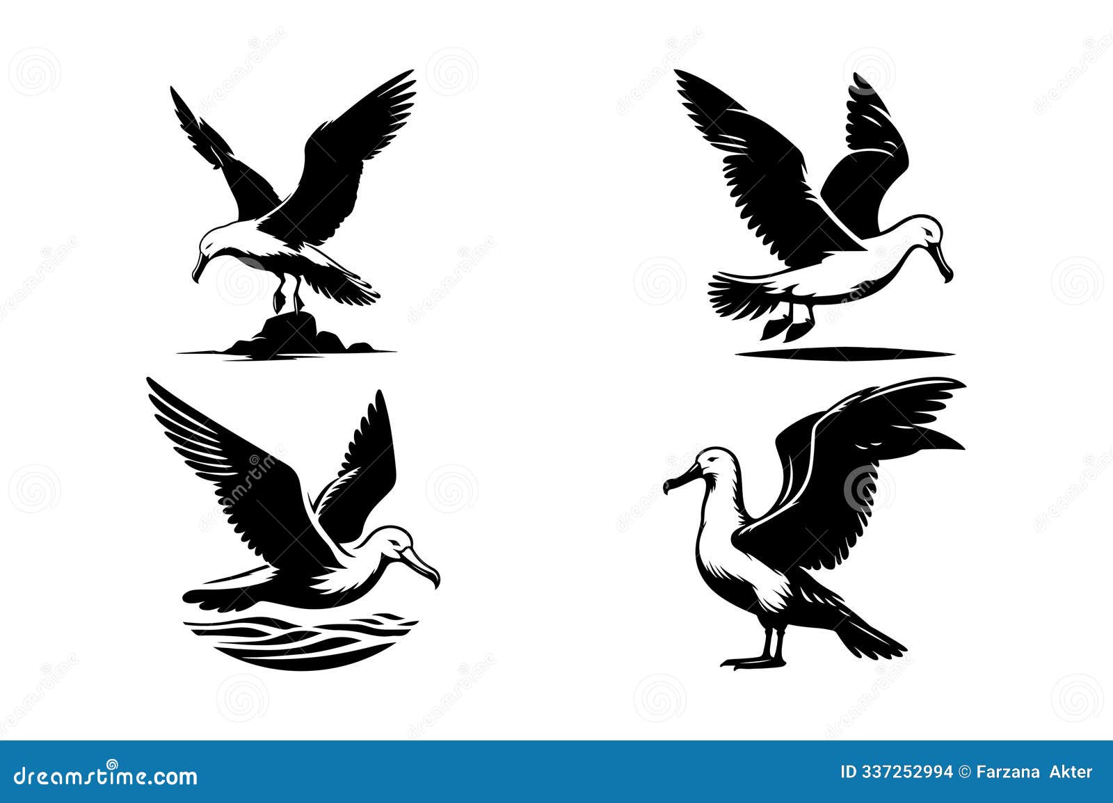 Flying Albatross Whole Vector Art Illustration Stock Vector ...