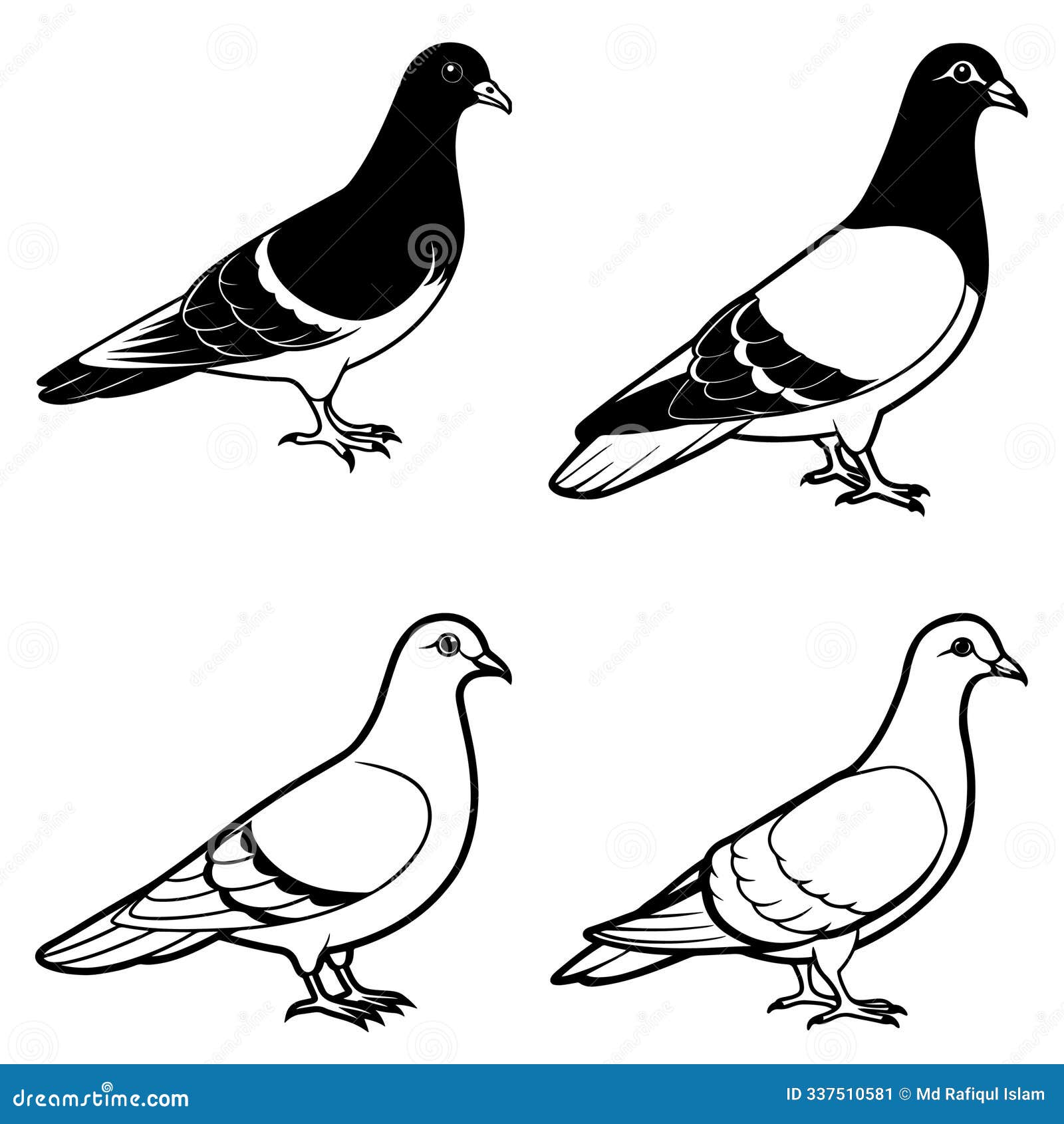3d Rendering of Dynamic Pigeon Silhouette Line Art. Generative AI Stock ...