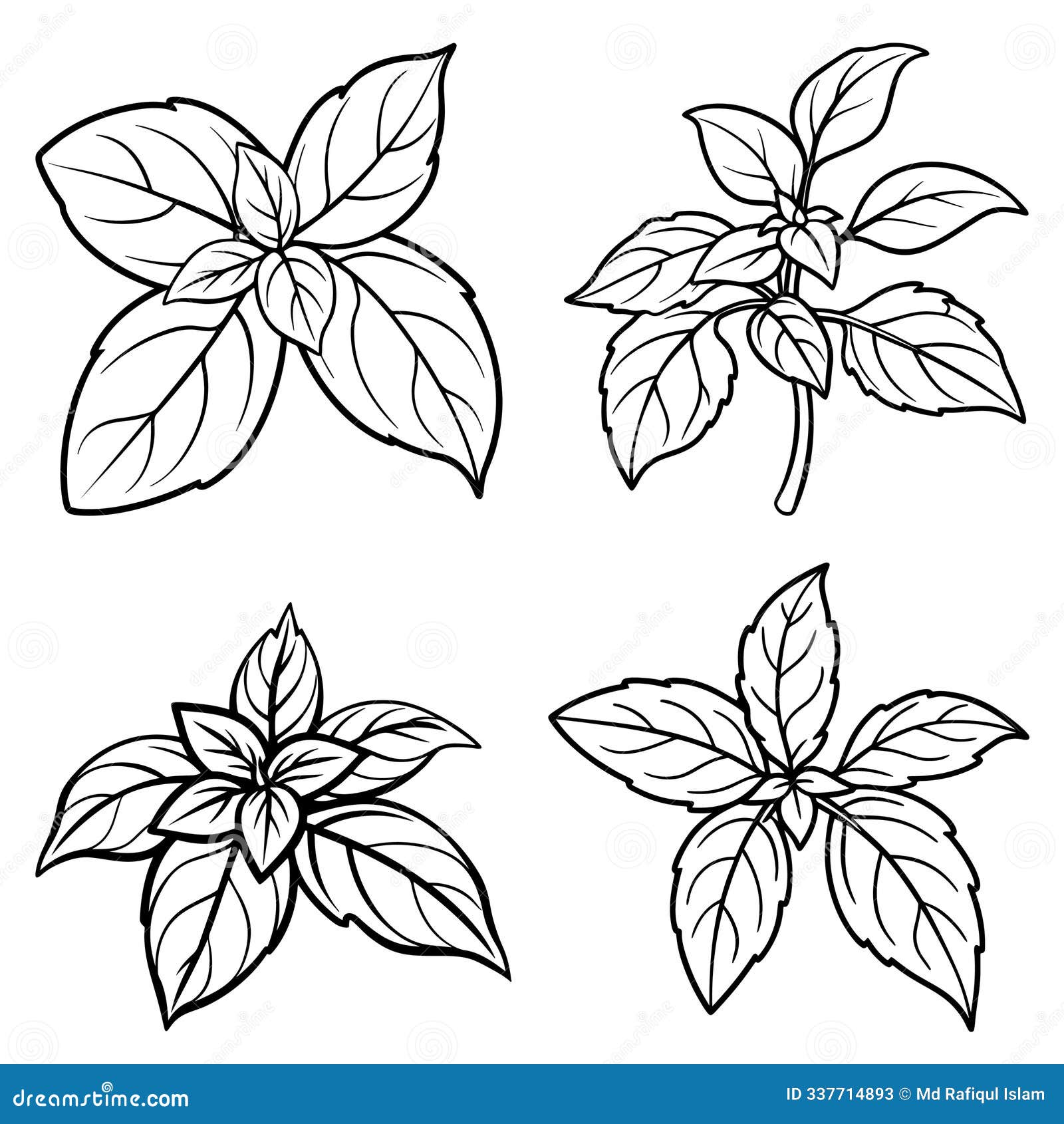 3d Rendering of Dynamic Basil Silhouette Line Art Stock Illustration ...