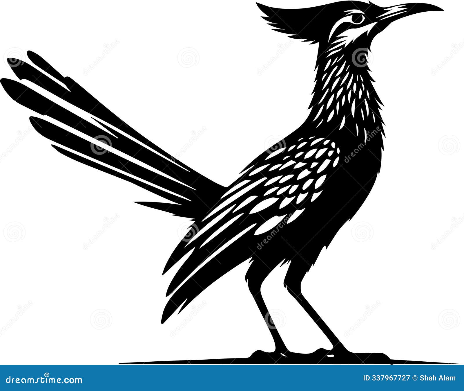 Roadrunner Bird Hand Drawn Vector Artwork Stock Illustration ...
