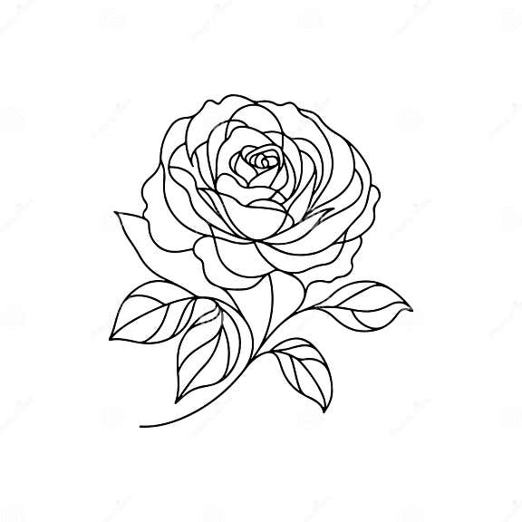 Elegant Rose Outline Vector for Floral Designs Stock Vector ...