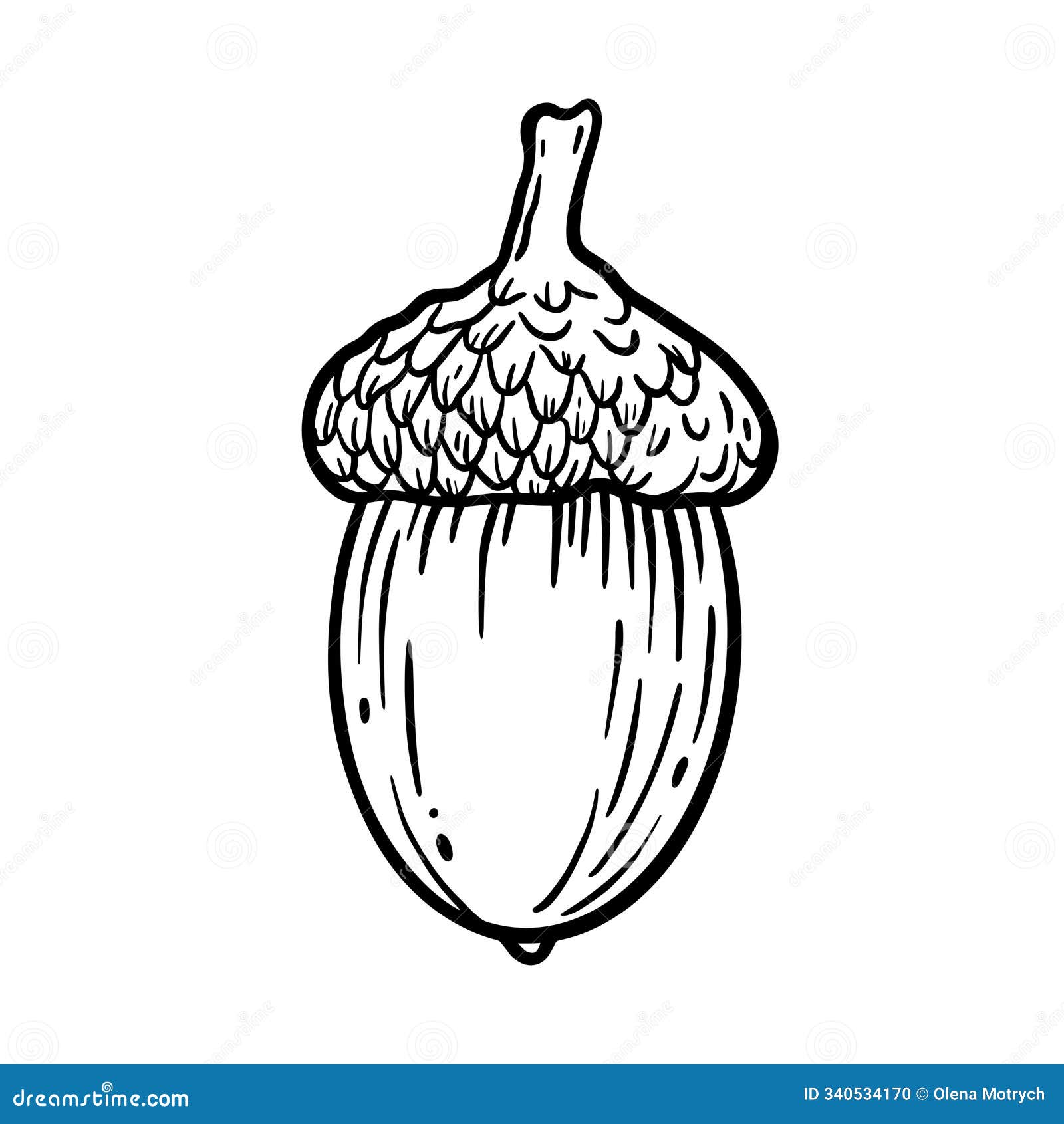 Acorn Nut Line Icon. Oaknut Sign. Oak Tree Seed. Vector | CartoonDealer ...