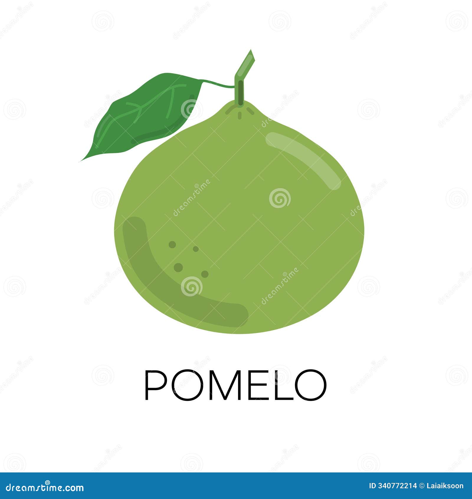 Pomelo Fruit Illustration For Coloring Book Template, Shaddock For Kids ...