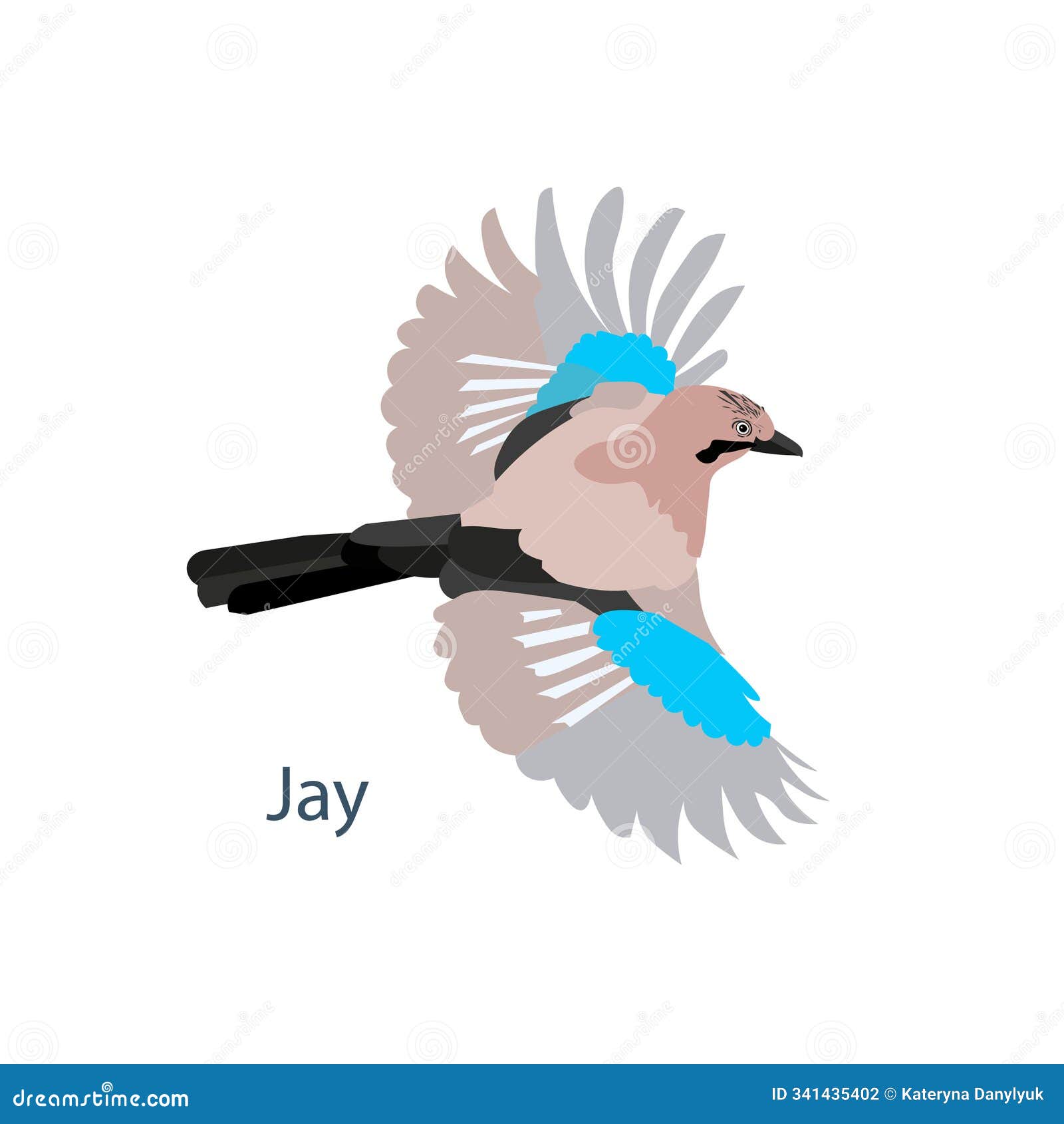 Jay is Flying. European Forest Bird Flat Design Stock Vector ...