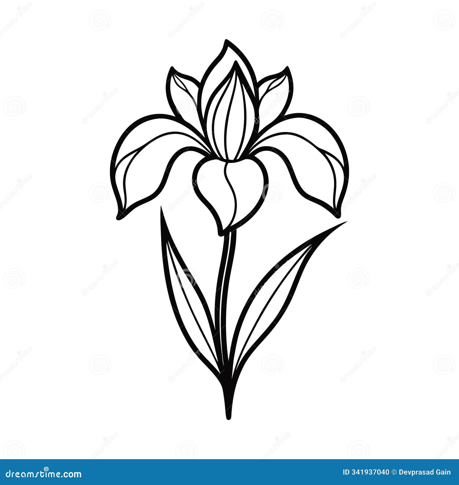 Elegant Line Art Iris Flower Black and White Icon Vector Illustration ...