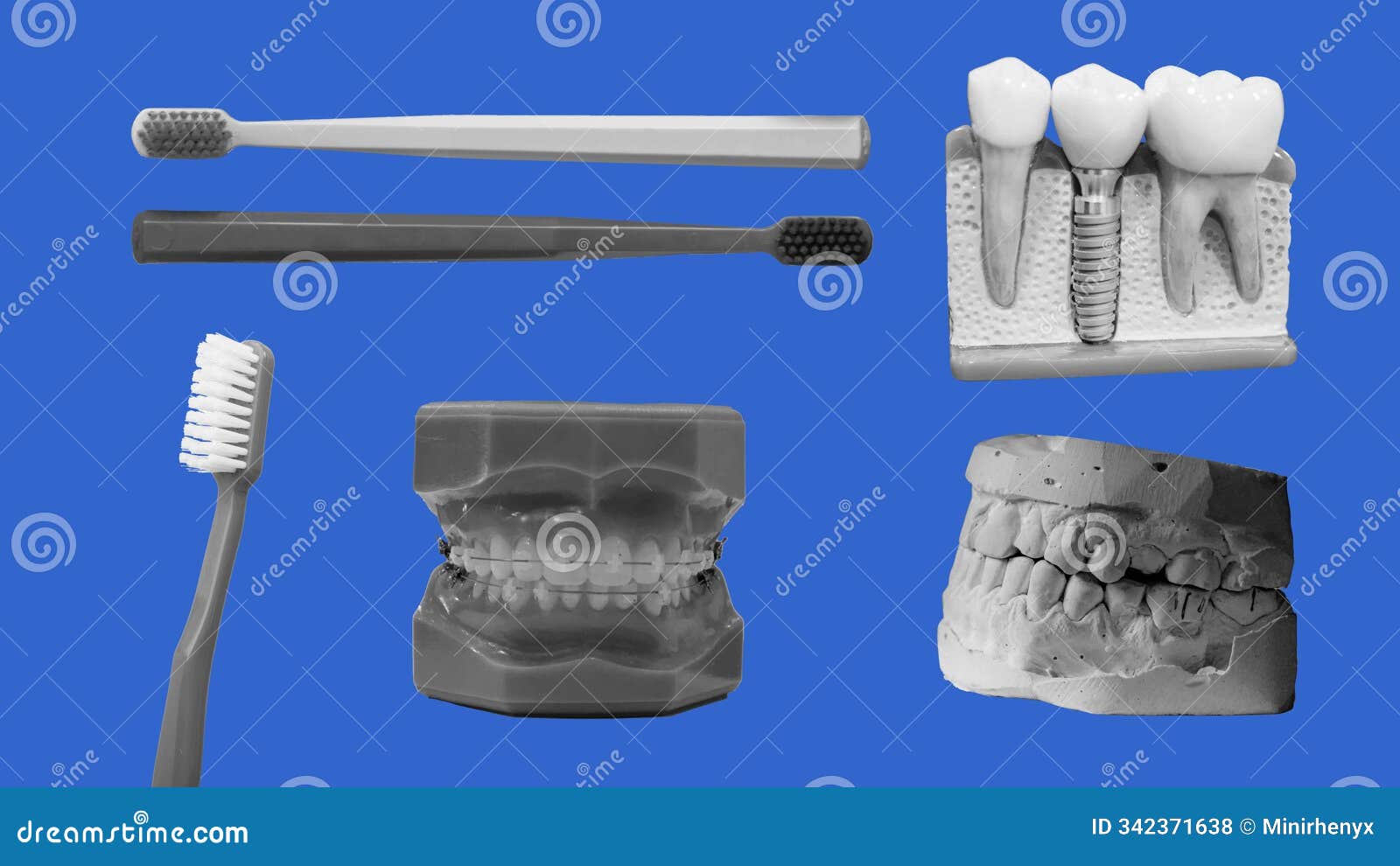 Toothbrush and Mouth Anatomical Model for Dentist Stock Illustration ...