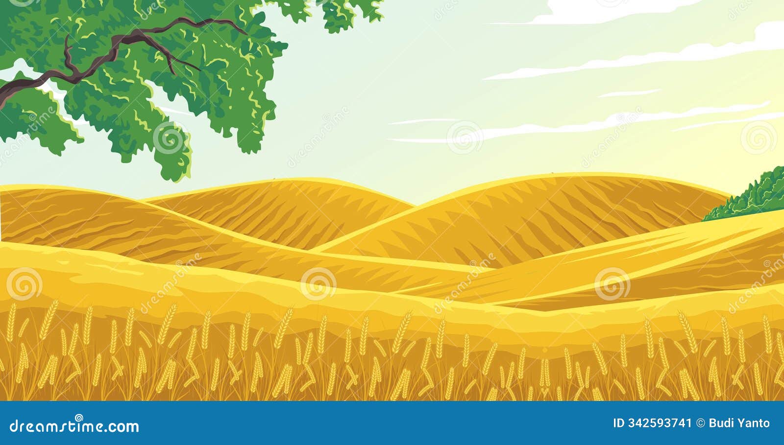 Hilly Area With Thickets Of Trees And Shrubs. Night Landscape Nature ...