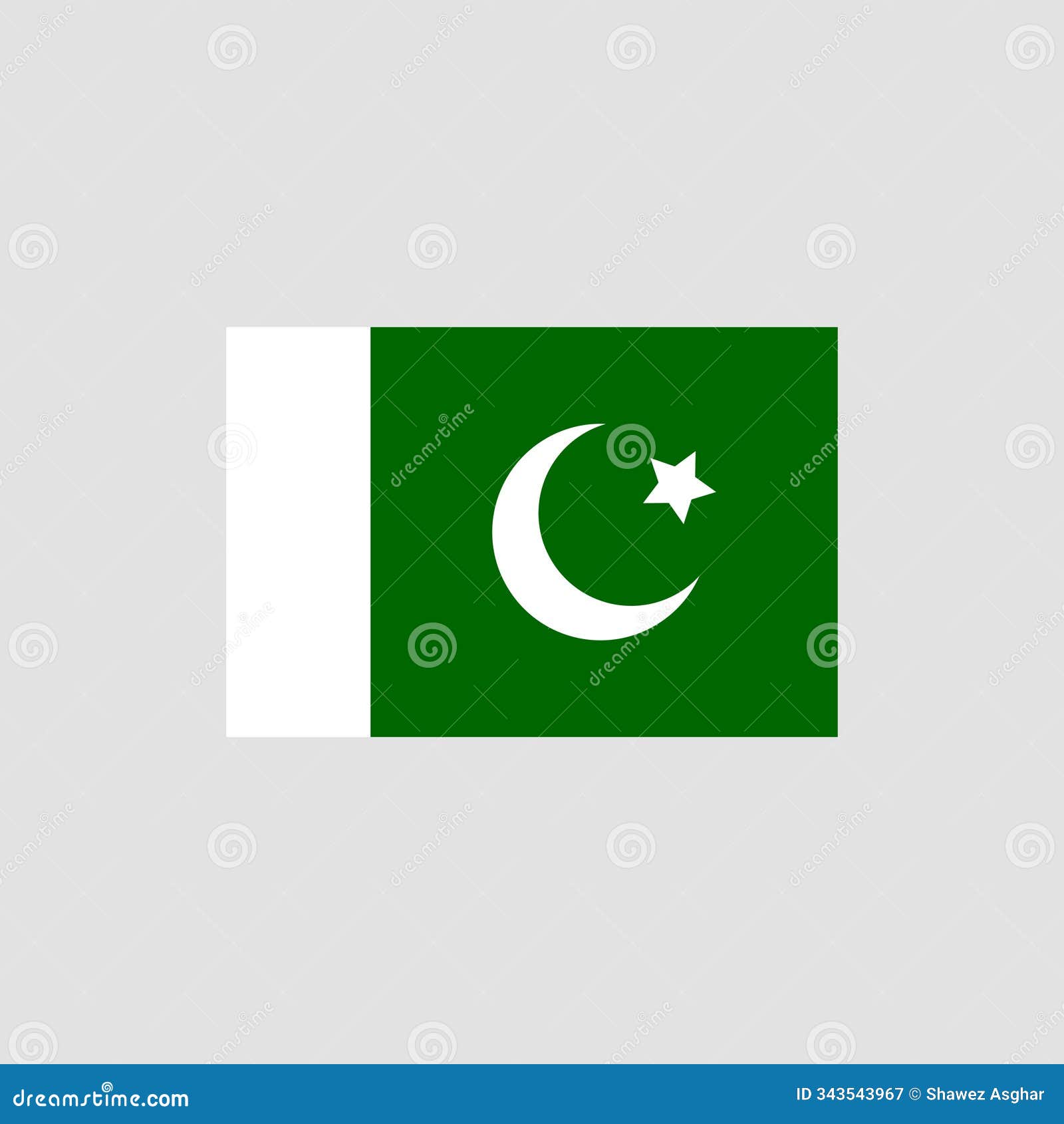 National Flag of Pakistan. Pakistan Country Flag Icon Vector ...