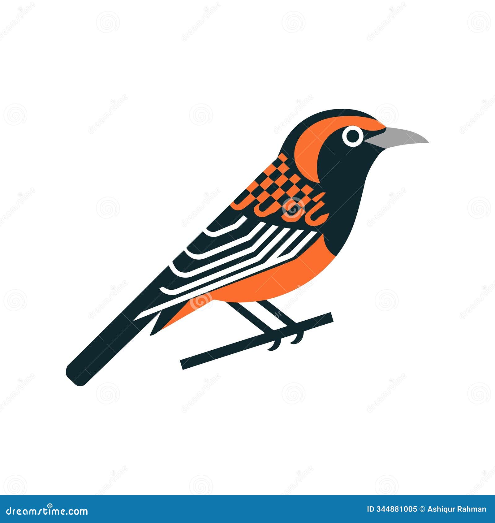 The Beauty of the Myna Bird Vector Art Illustration Stock Illustration ...