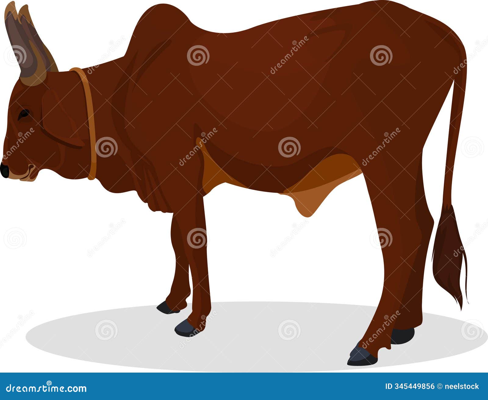 COW BRAHMAN CATTLE SET STICKER Cartoon Vector | CartoonDealer.com ...