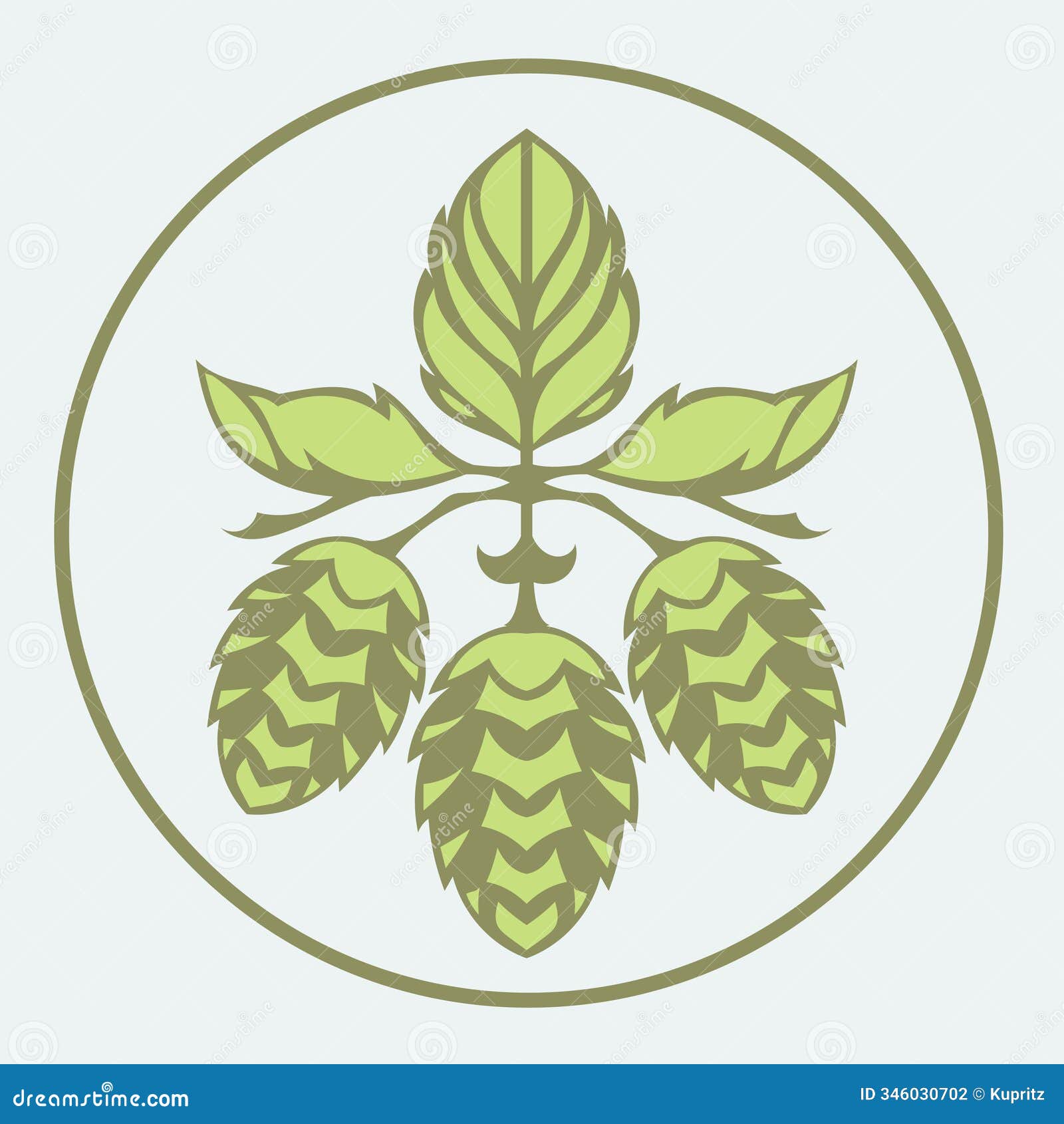 Hops Plant and Hop Leaves Isolated on Green Background Stock Vector ...