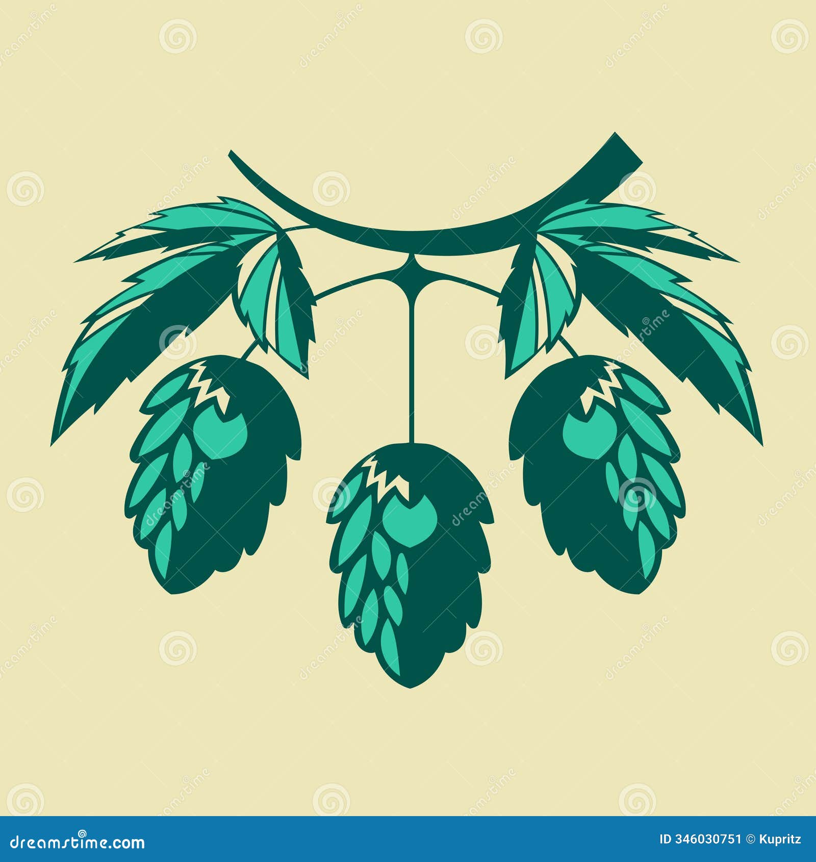 Hops Plant and Hop Leaves Isolated on Green Background Stock Vector ...