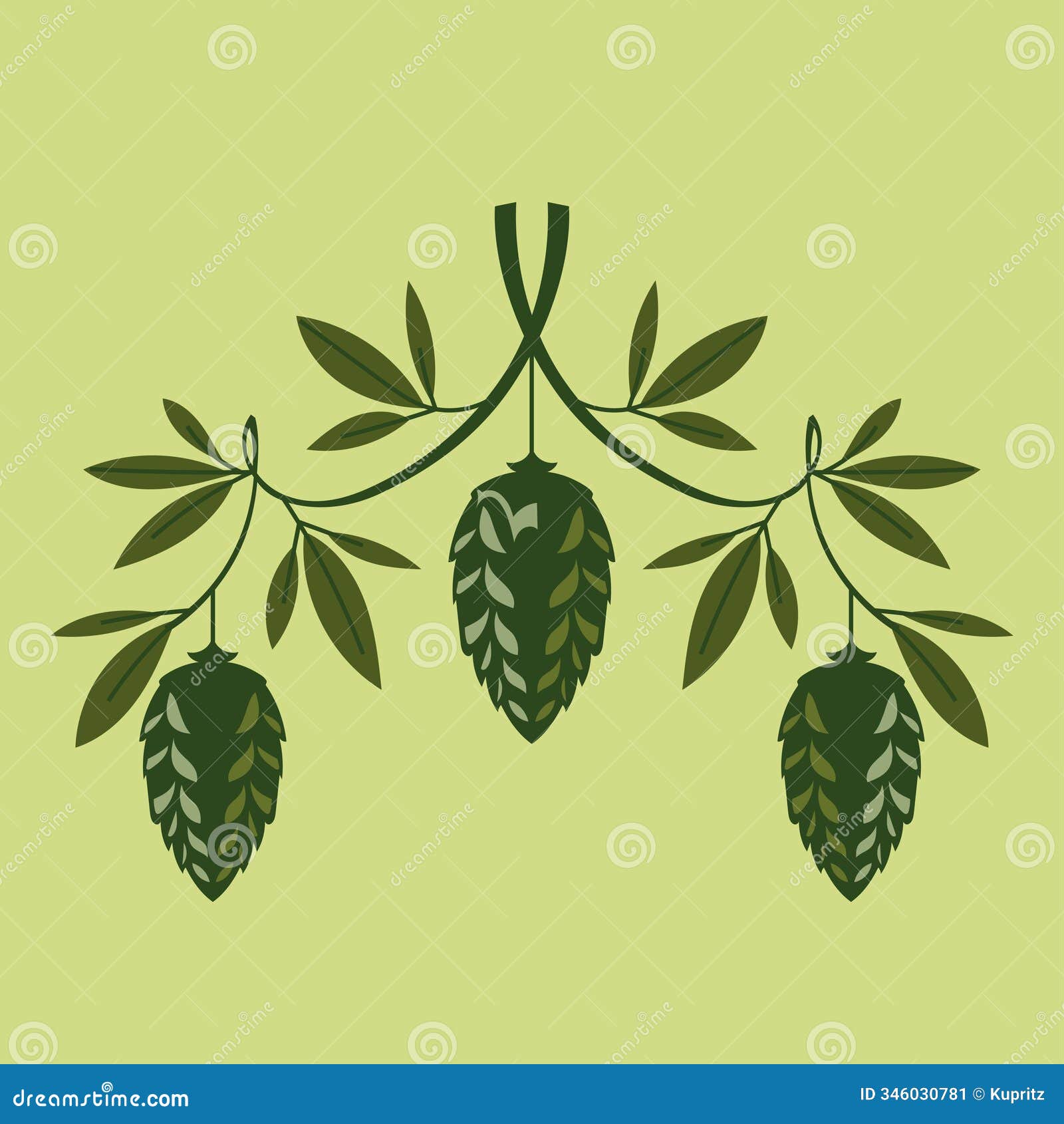 Hops Plant and Hop Leaves Isolated on Green Background Stock Vector ...