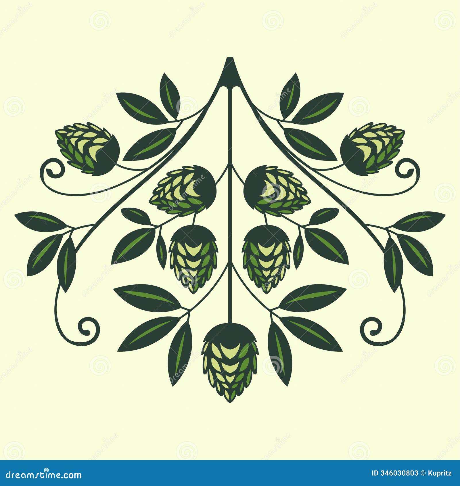 Hops Plant and Hop Leaves Isolated on Green Background Stock Vector ...