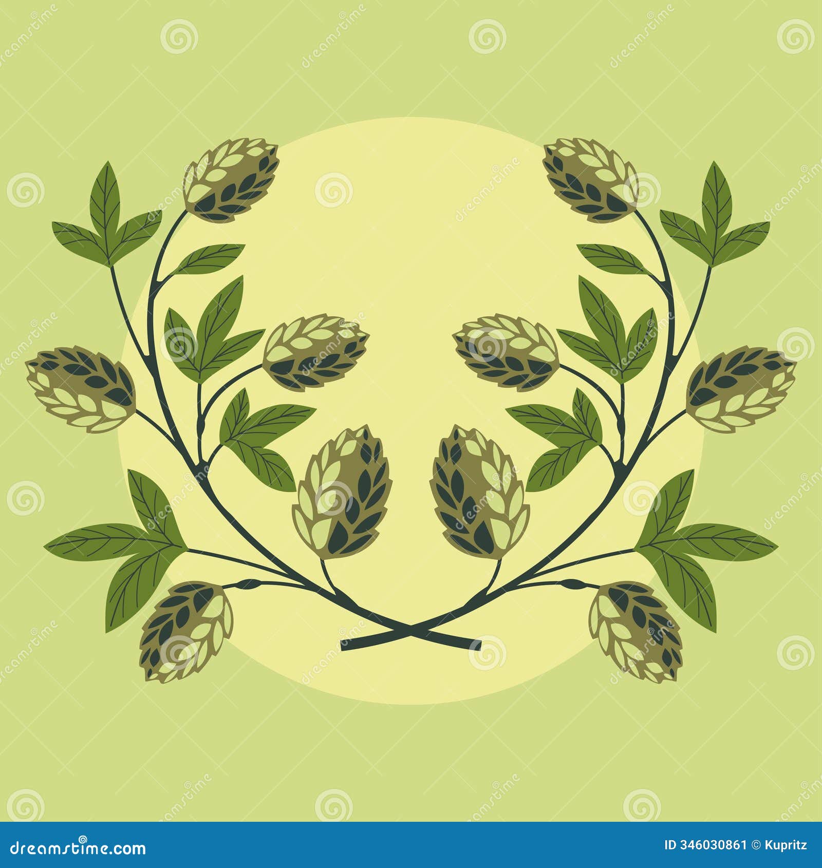 Hops Plant and Hop Leaves Isolated on Green Background Stock Vector ...
