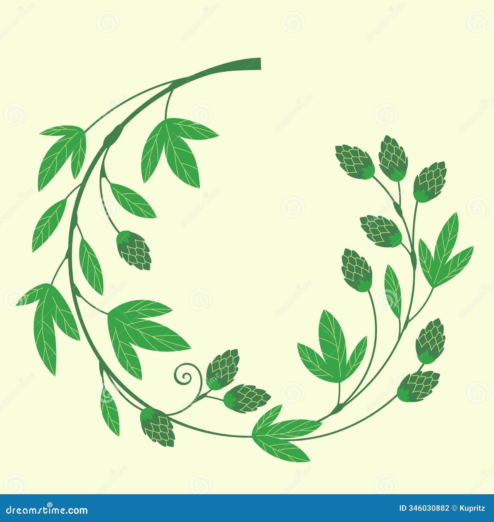 Hops Plant and Hop Leaves Isolated on Green Background Stock Vector ...