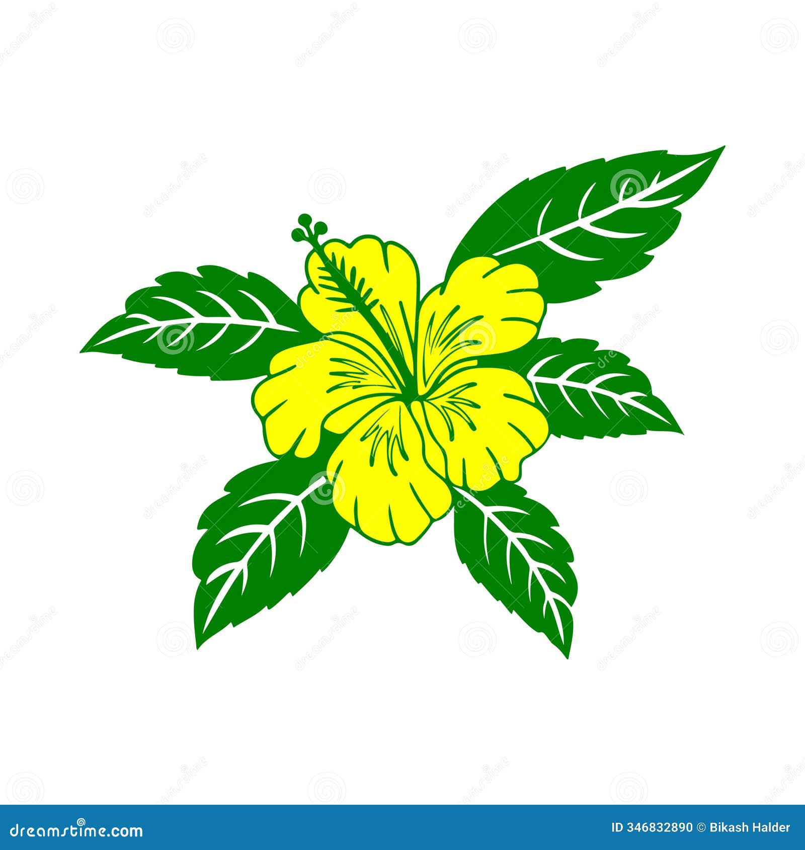 Hibiscus Flower with Leaves Vector Design Stock Illustration ...