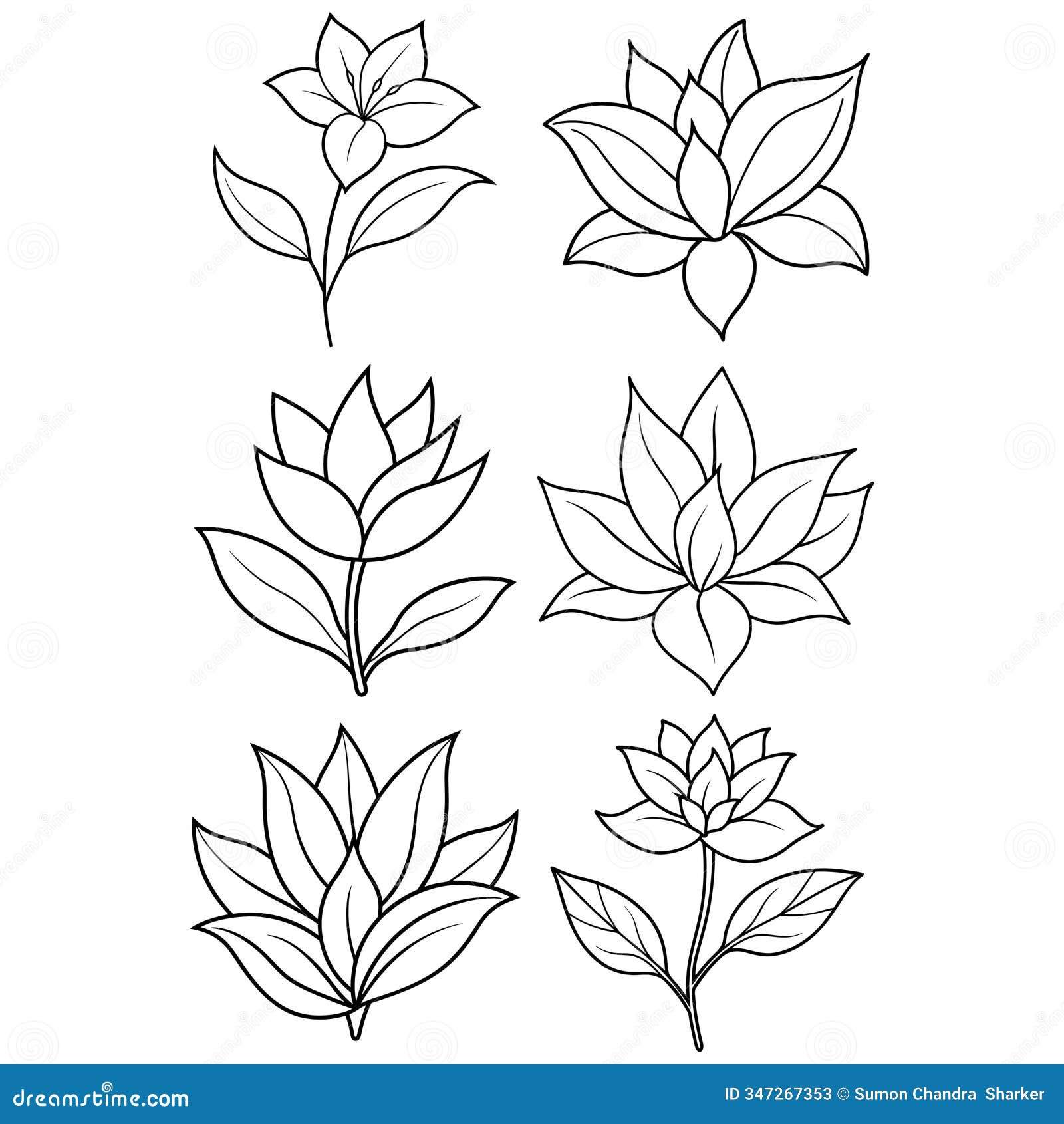 Botanical Flower Line Art Illustrations Elegant Floral Design Stock ...