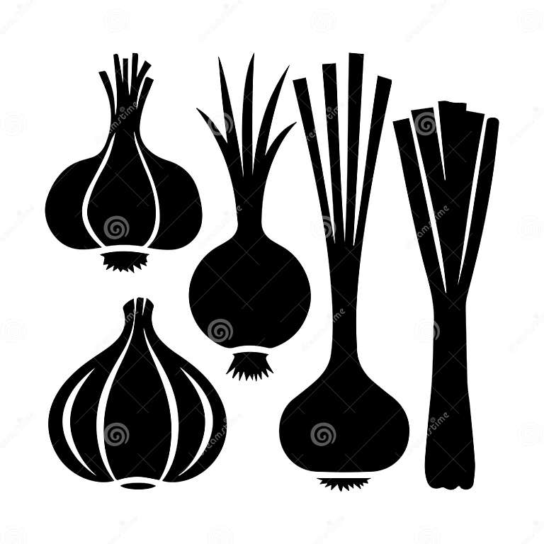 A Silhouette Vector Illustration Set of Five Allium Vegetables: Garlic ...