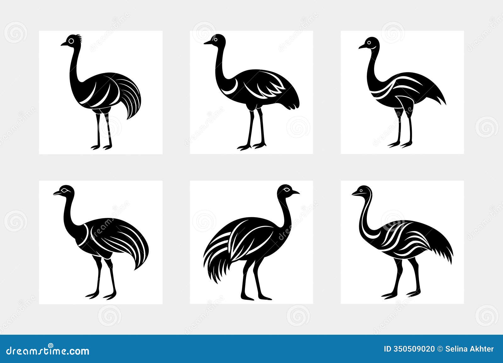Emu Bird Vector Illustration Icons. Stock Illustration - Illustration ...