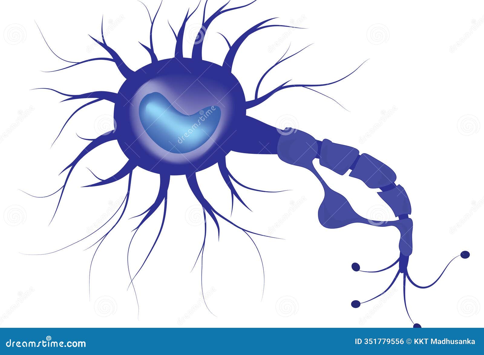 Motor nerve stock vector. Illustration of pseudo, system - 351779556