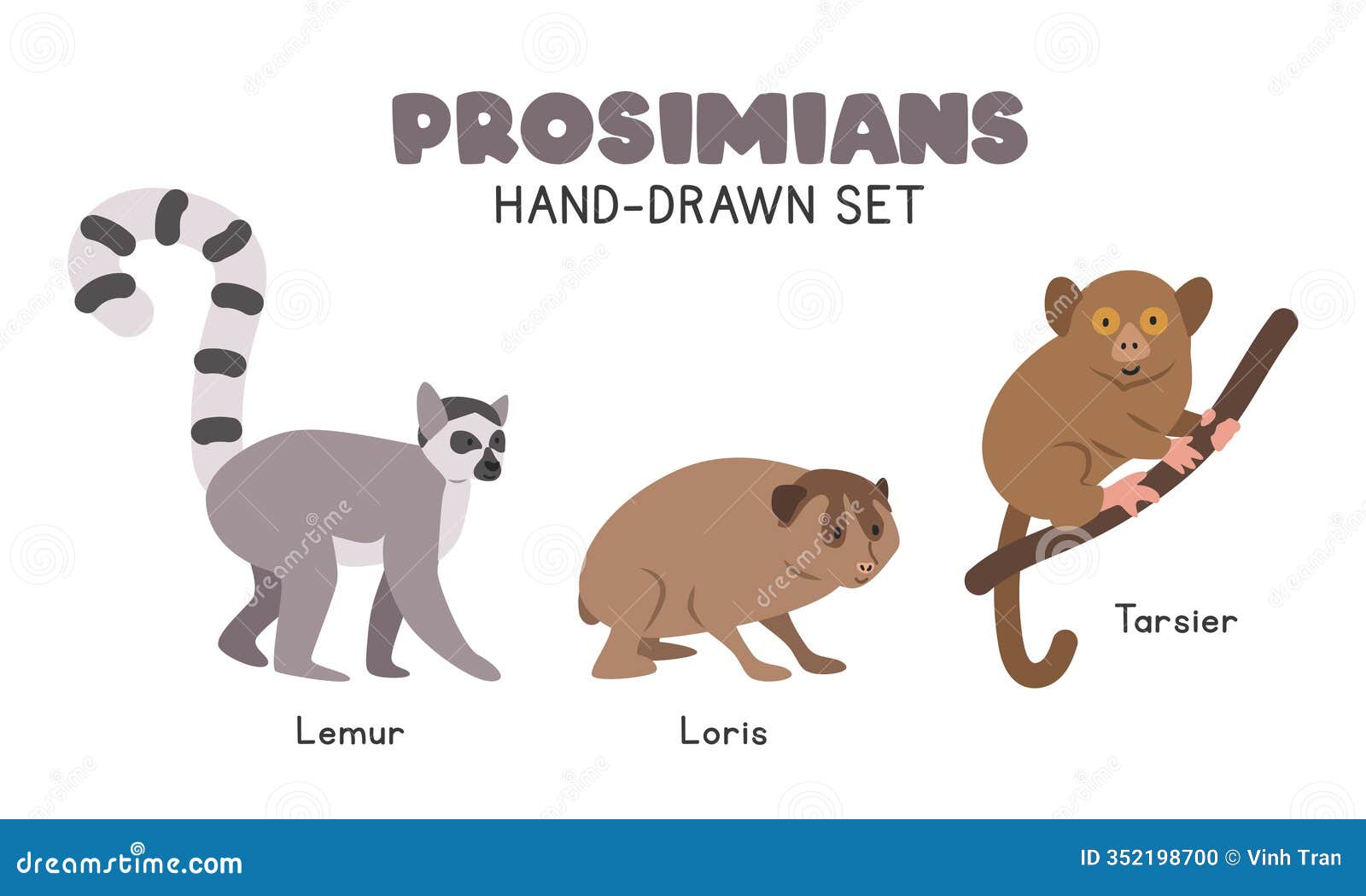 Prosimians Cartoon Clipart Set. Lemur, Loris, Tarsier Vector ...