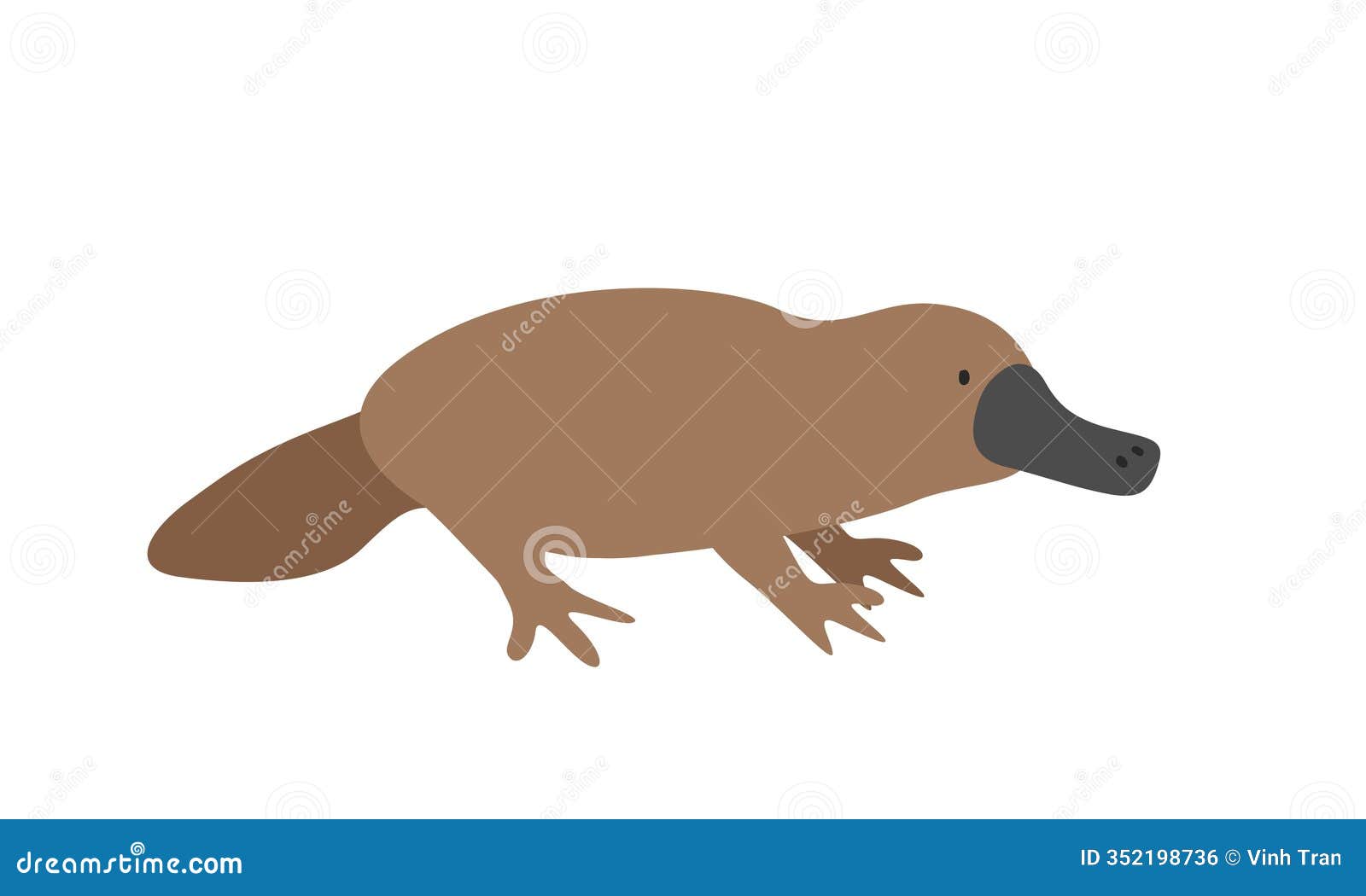 Duck-billed Platypus Cartoon Clipart. Platypus Vector Illustration In ...