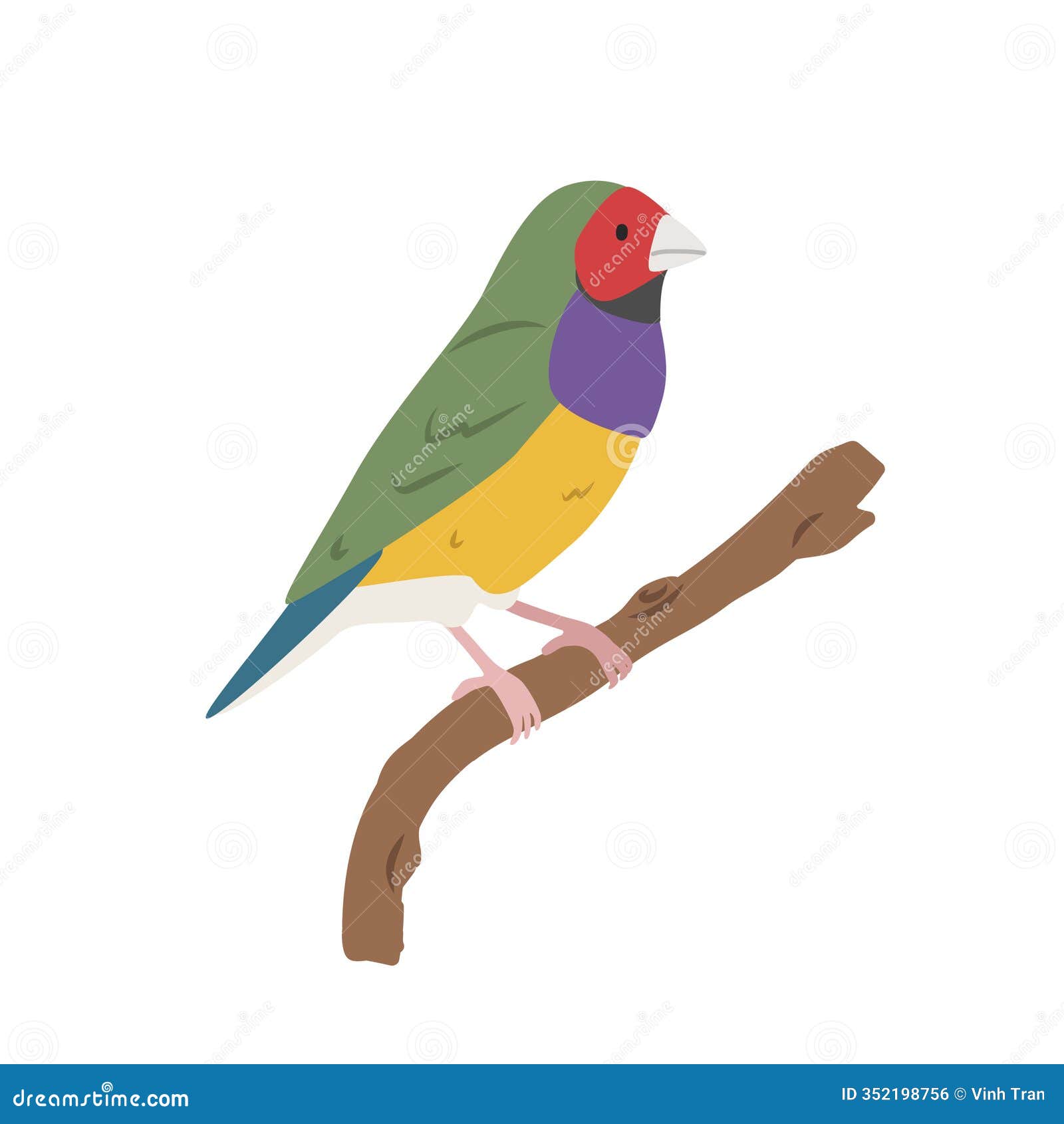 Gouldian Finch Flying Animation Cute Cartoon Vector Illustration ...