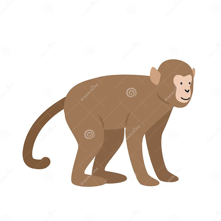 Cute Indochinese Rhesus Macaque Monkey Cartoon Clipart. Monkey Vector ...